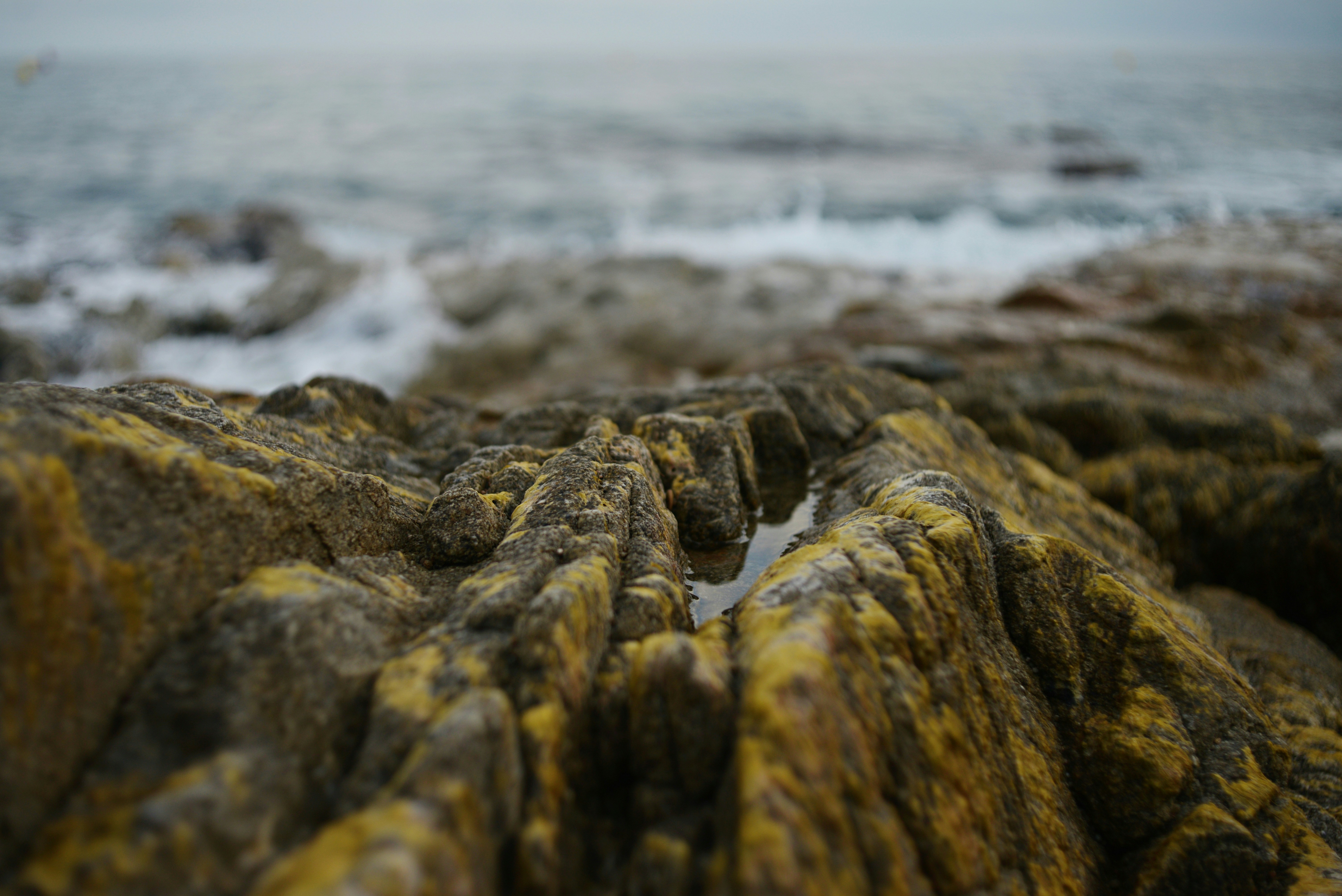 Rugged Tide Carvings: Morning Light on Oceanic Striations