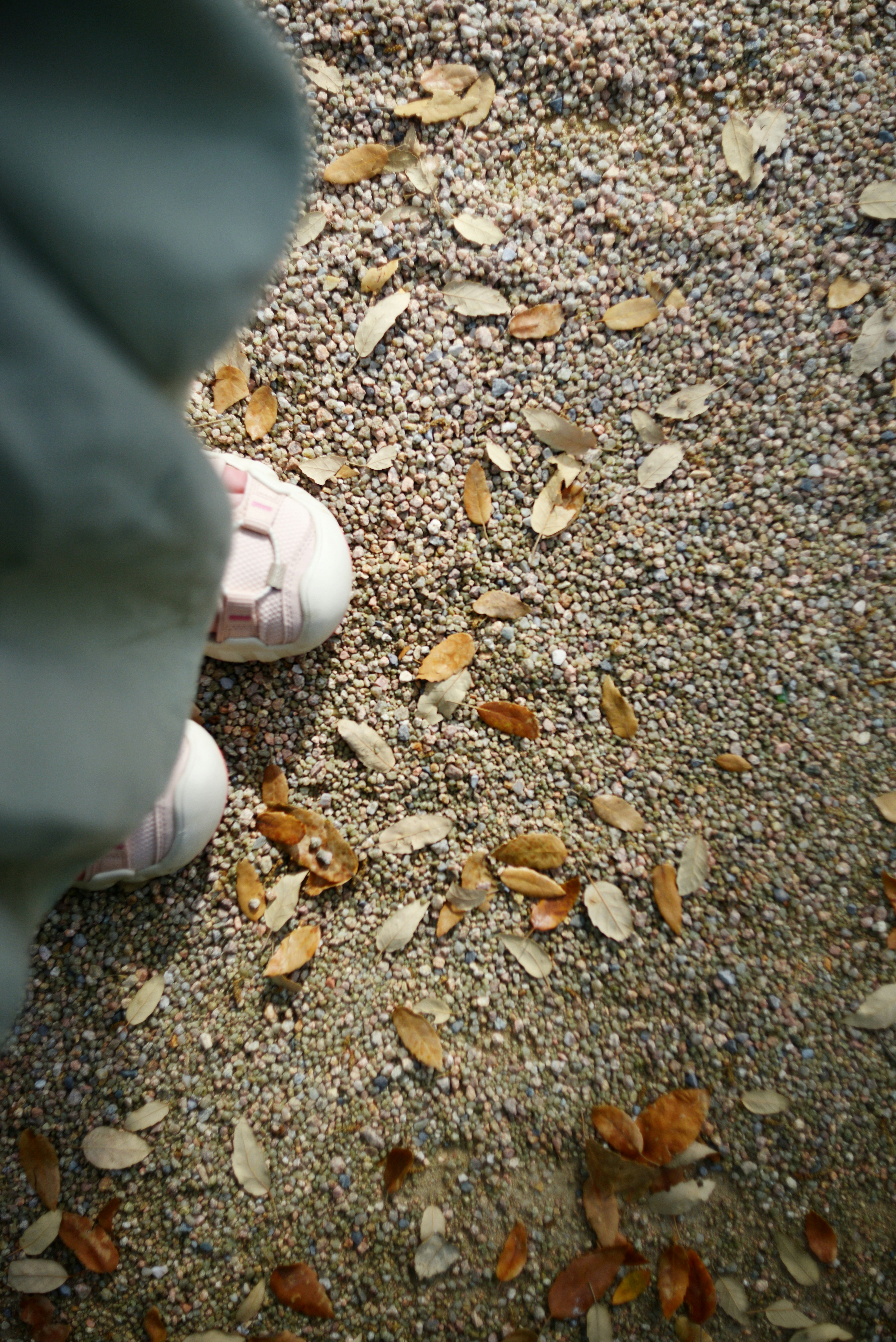 Footsteps on Pebbled Ground: A Child’s Boundary Between Shoe and Leaf Litter