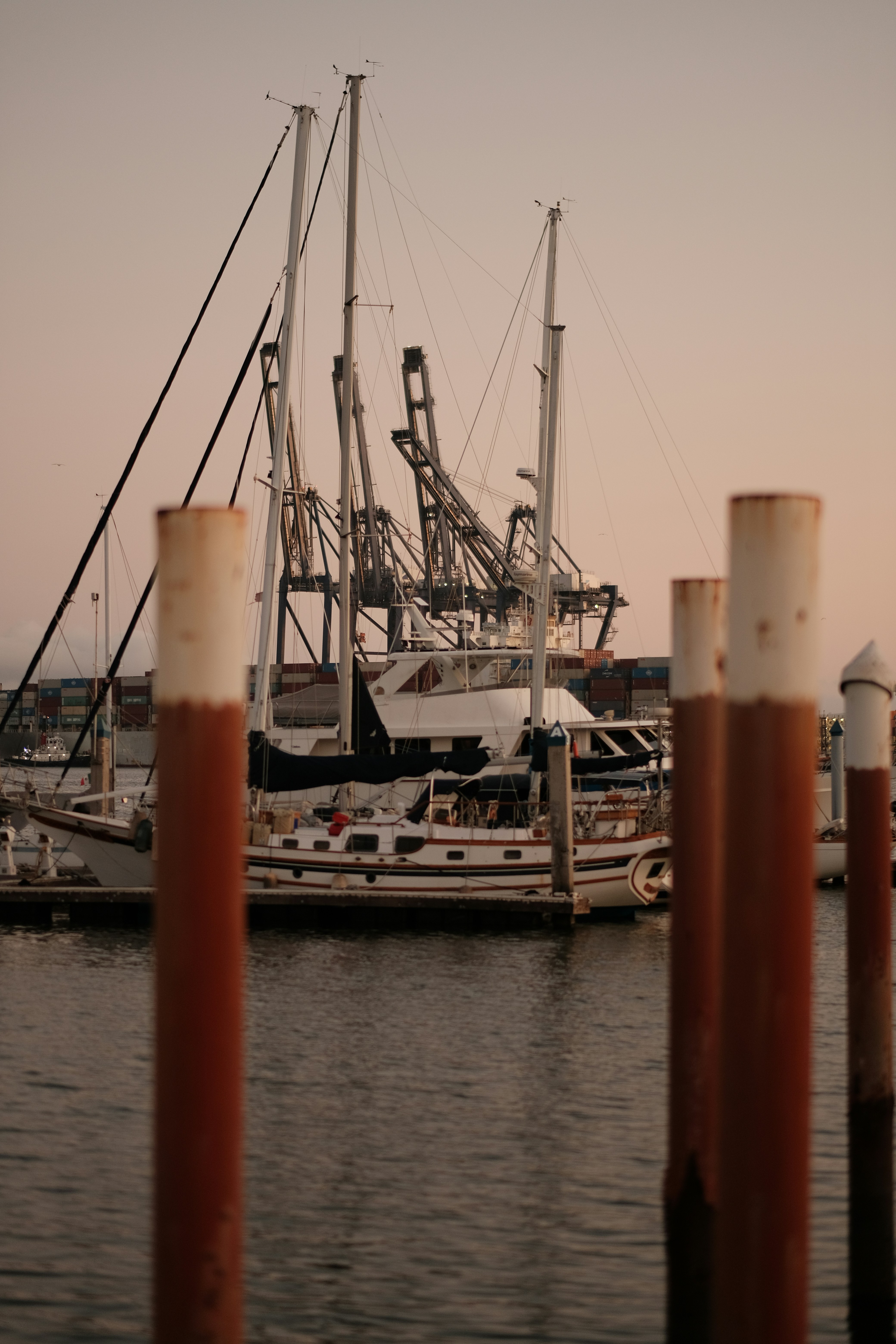 Harbor Giants: Boats and Masts Framed by Weathered Piers