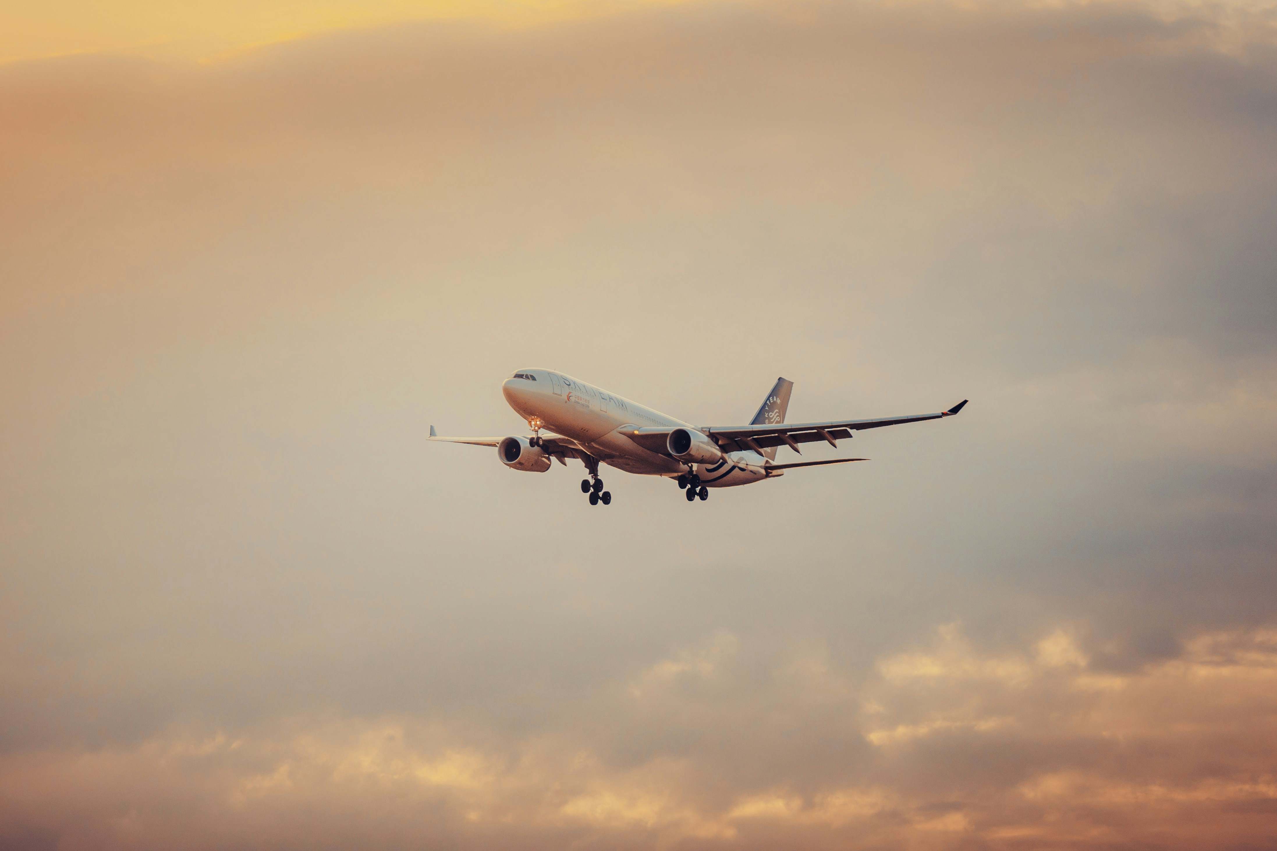 Soaring Descent: A Jet Quietly Approaches the Terminal Sky