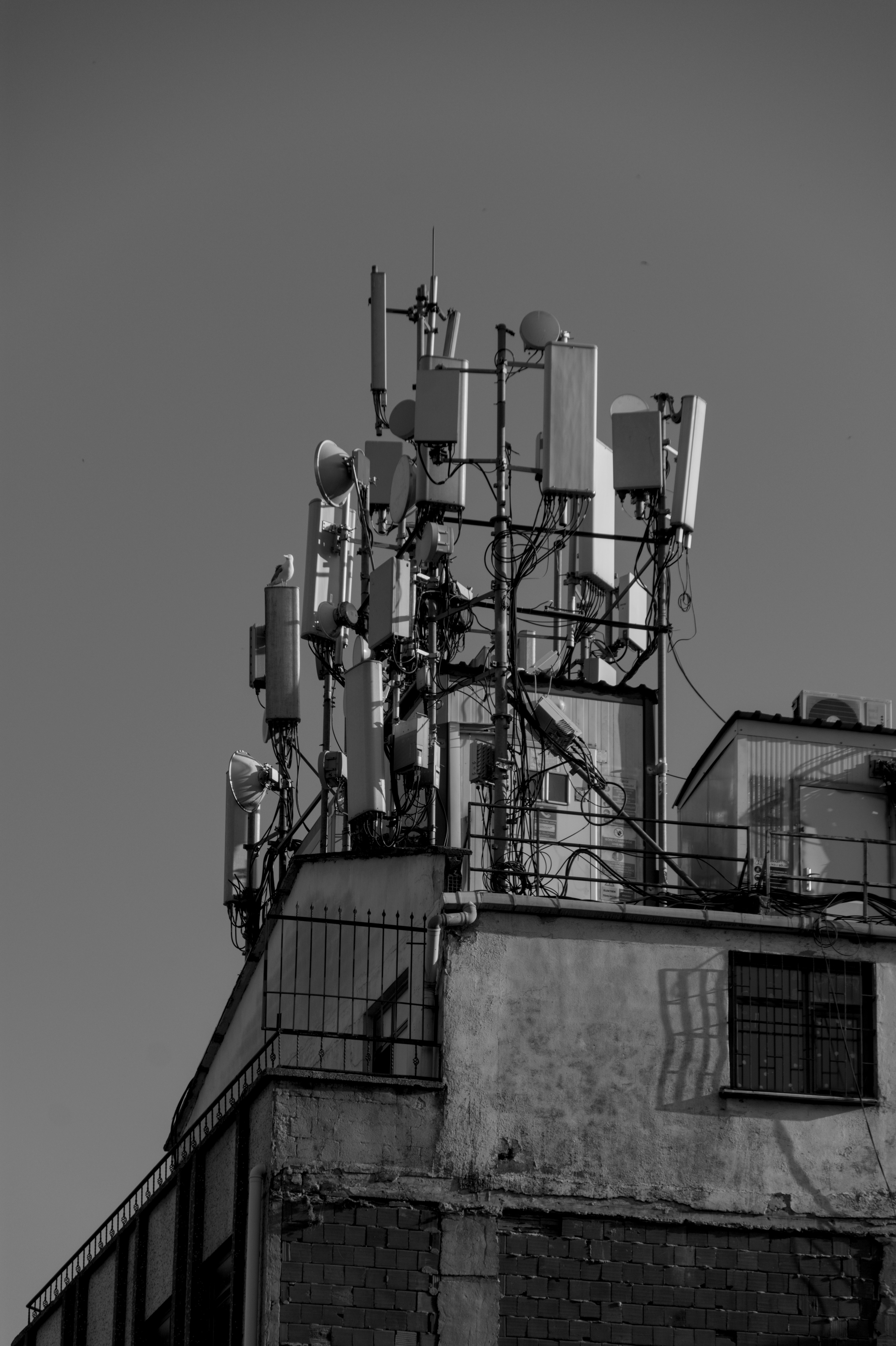 Antenna Crown on a Concrete Rooftop