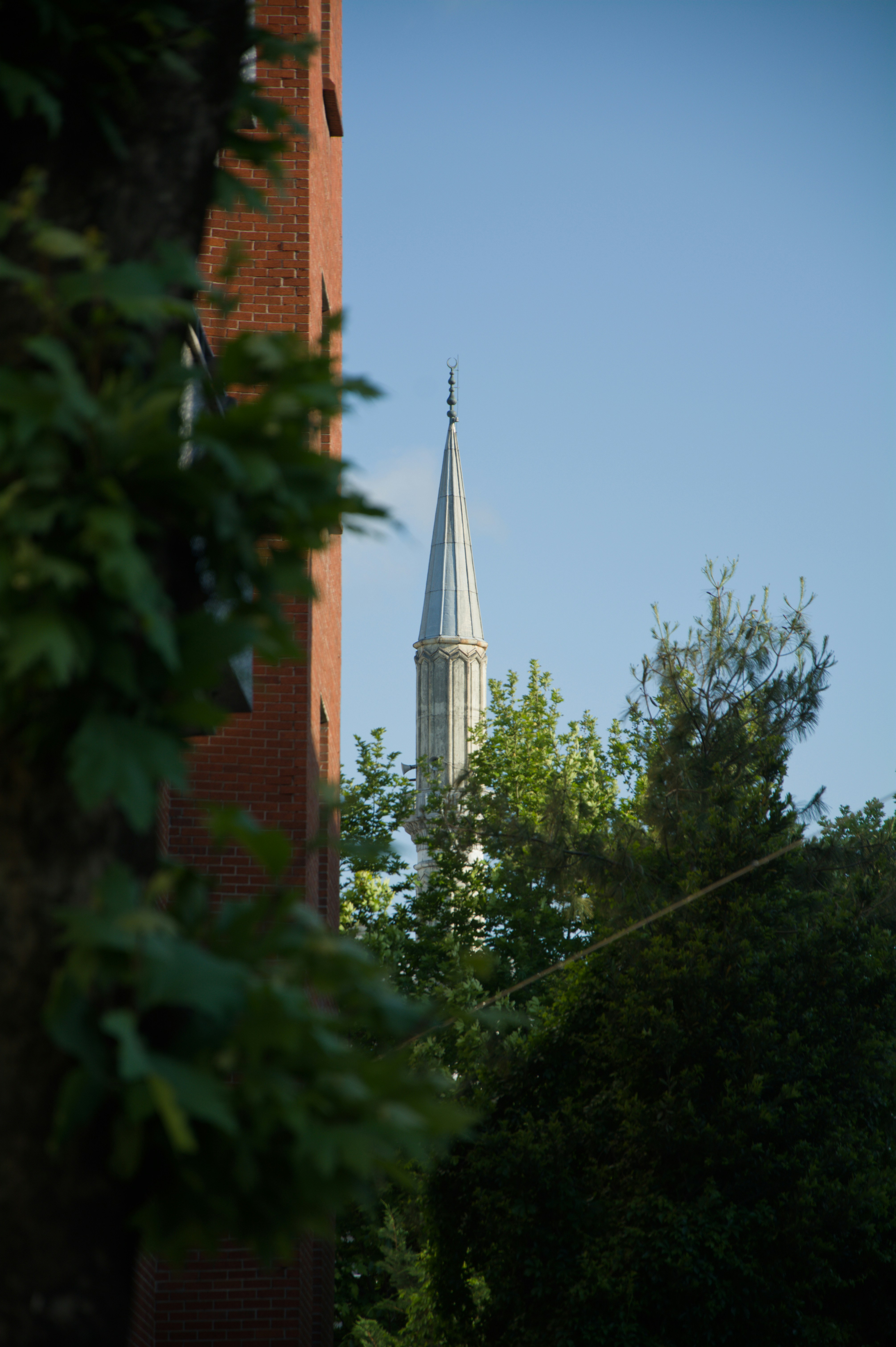 Spire Amid the Trees: A Quiet City Moment