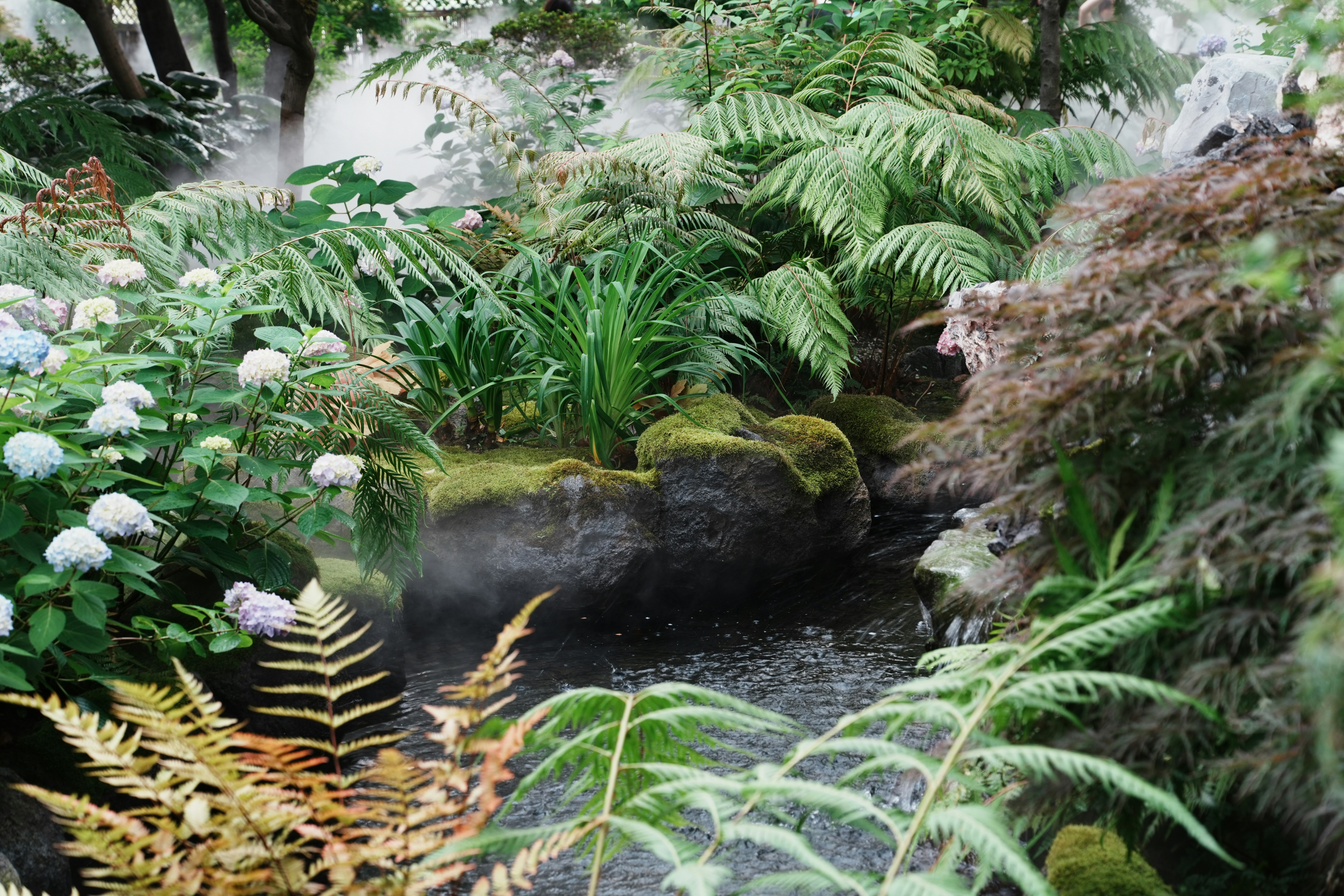 Misty fern garden by a tranquil stream