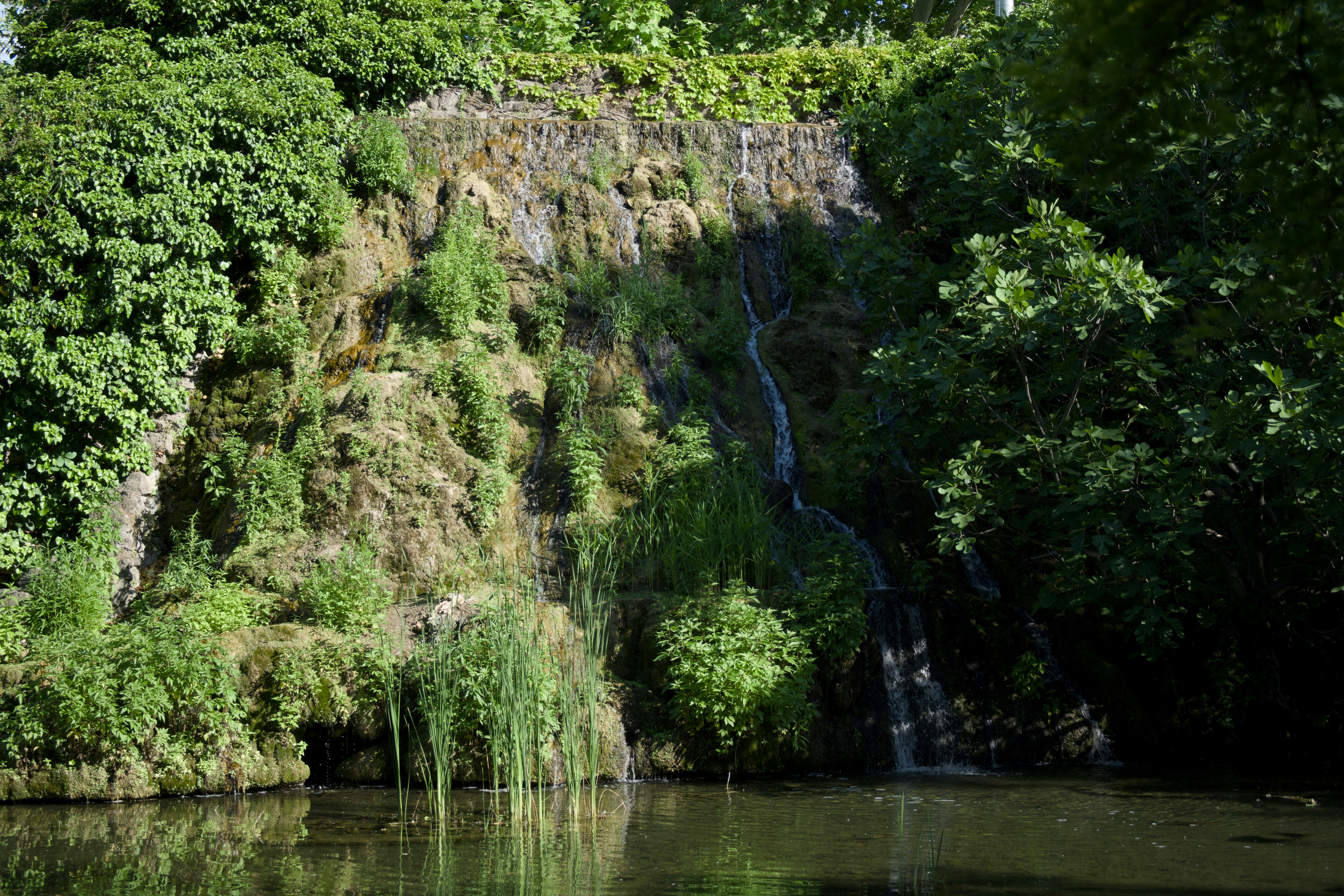 Hidden Cascade Along the Lush Riverbank