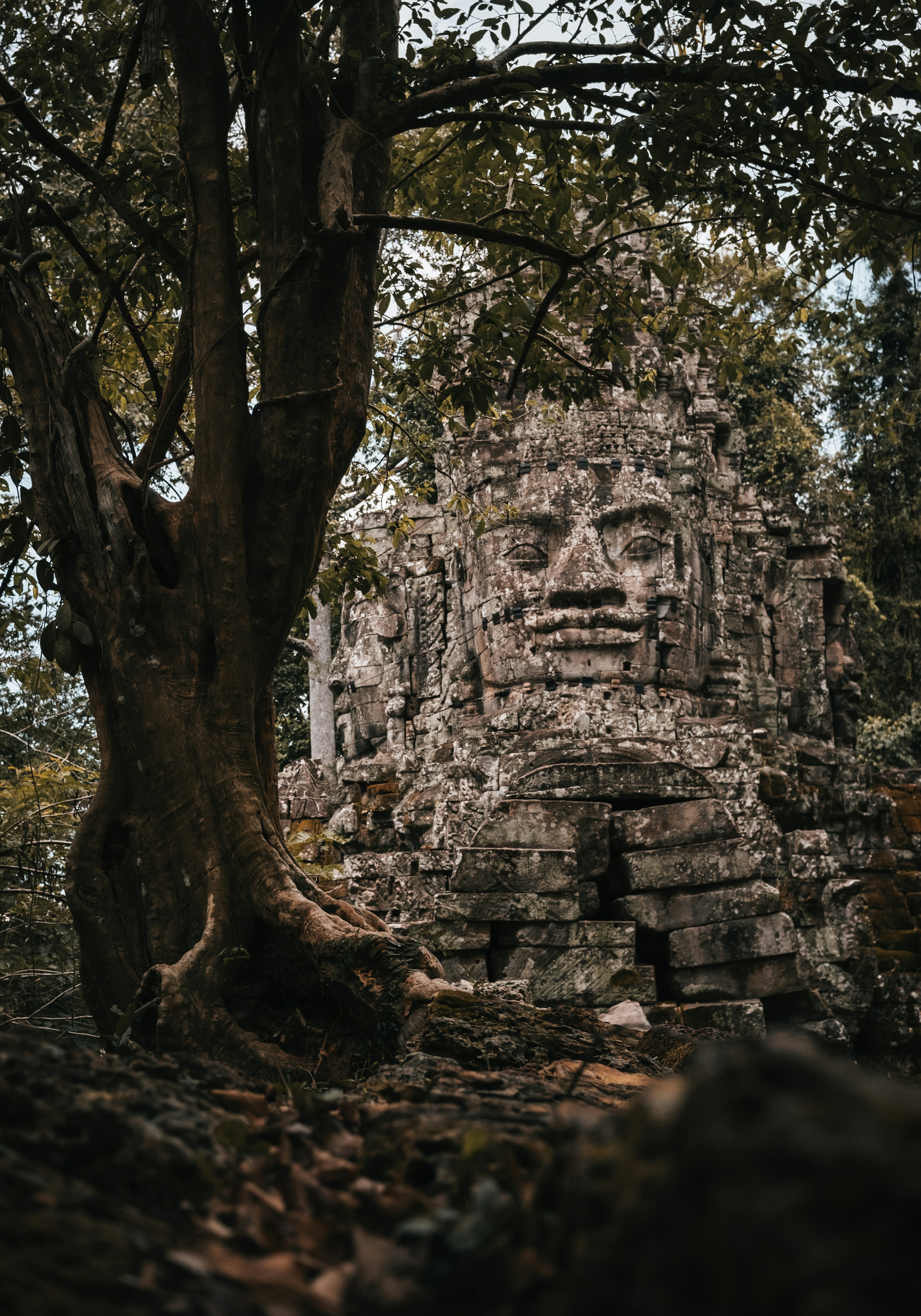 Stone Guardian beneath the Branches: A Ruined Face Emerges