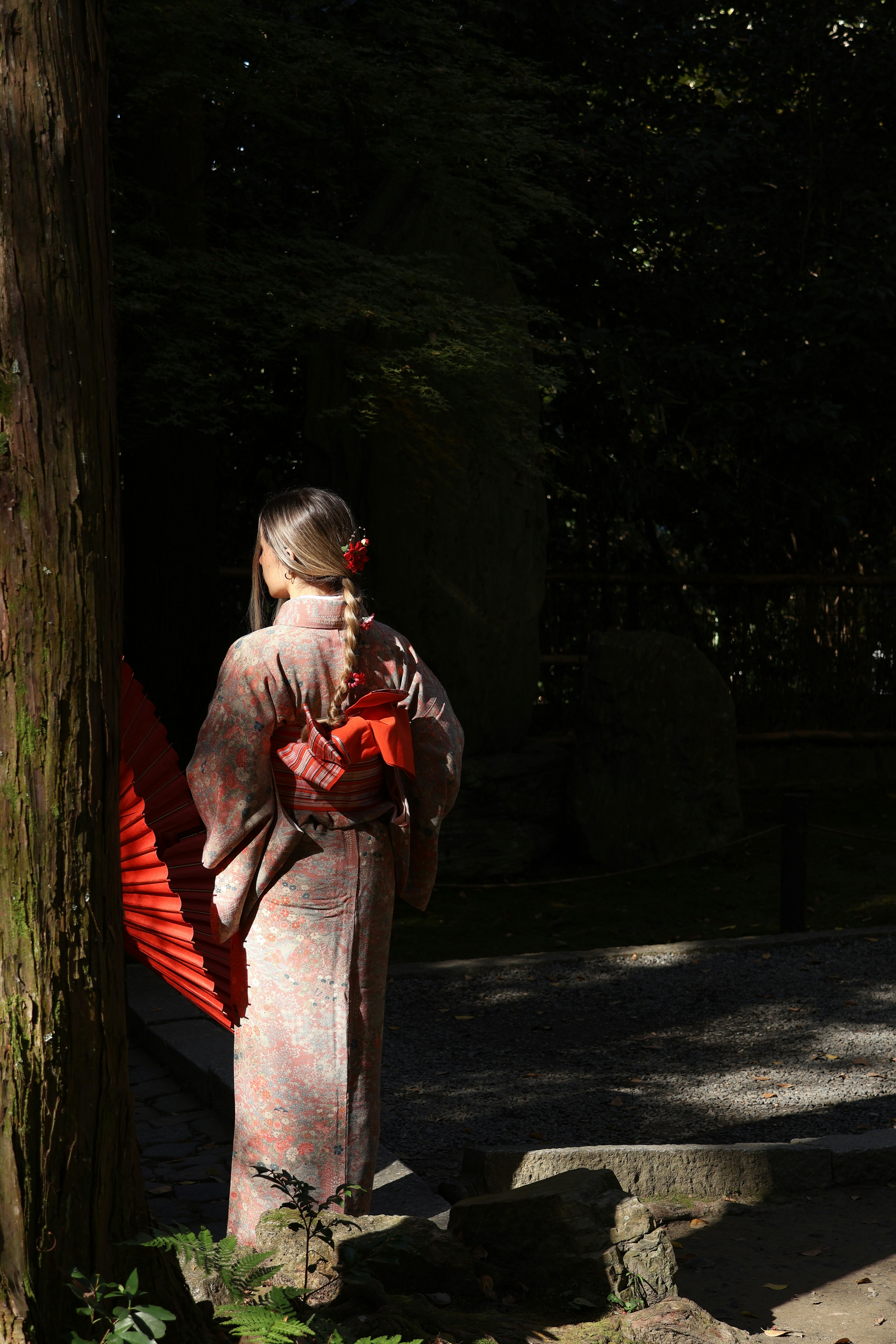 Kimono Lights: A Backlit Moment in the Garden