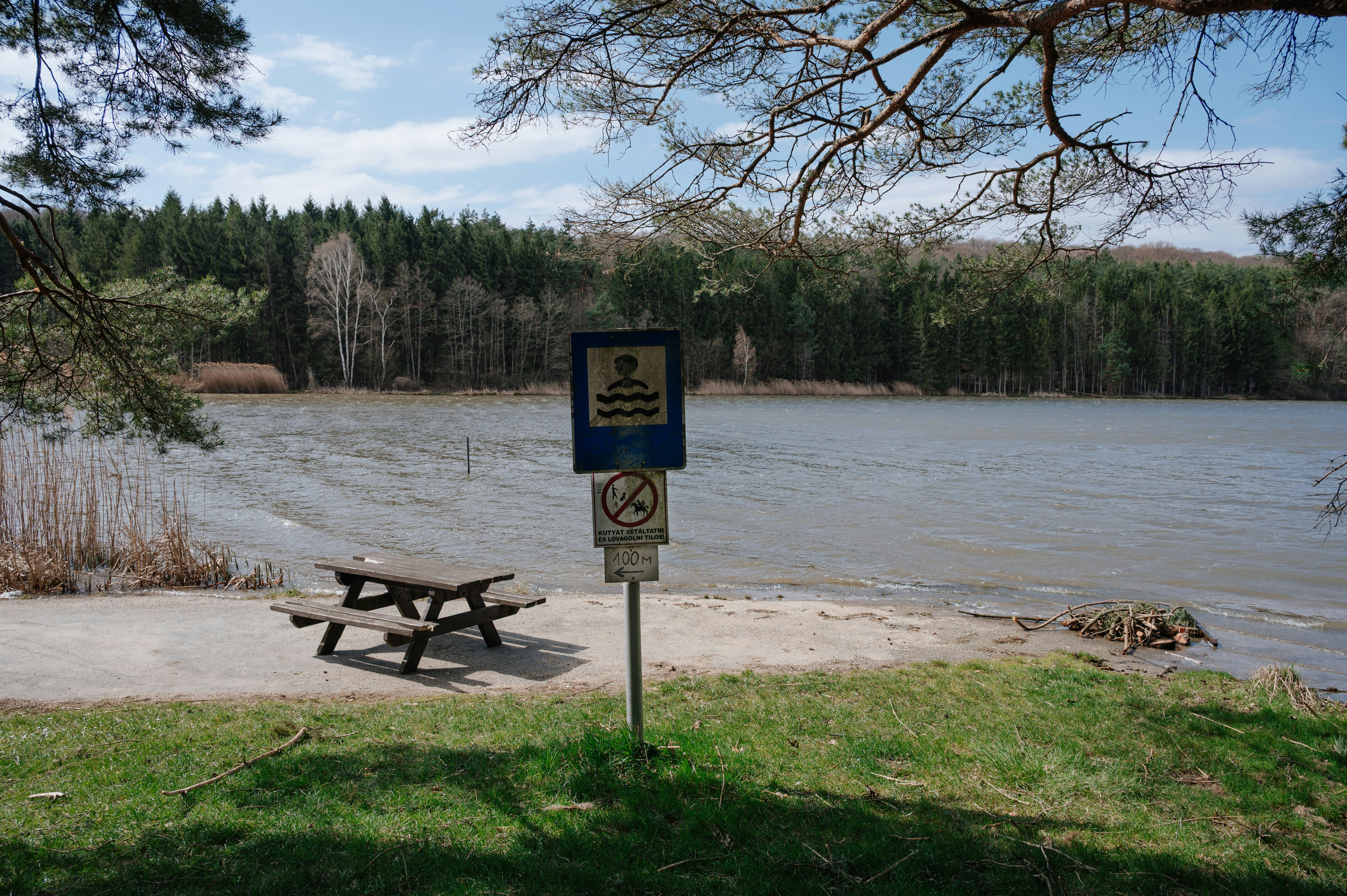 Signpost by the Lakeside: Quiet Landscape with Picnic Table