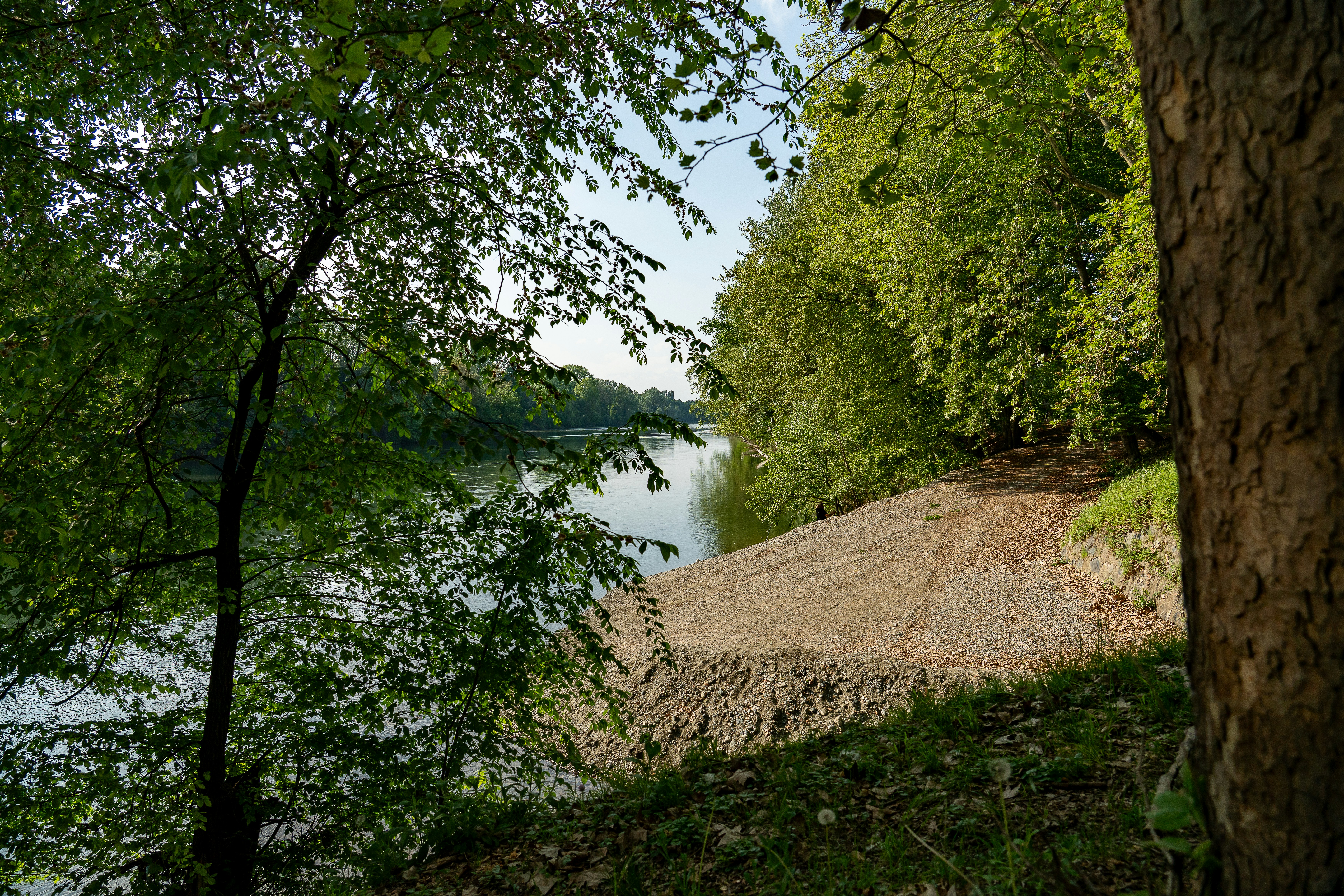 Riverside Sandbank Framed by Overhanging Green