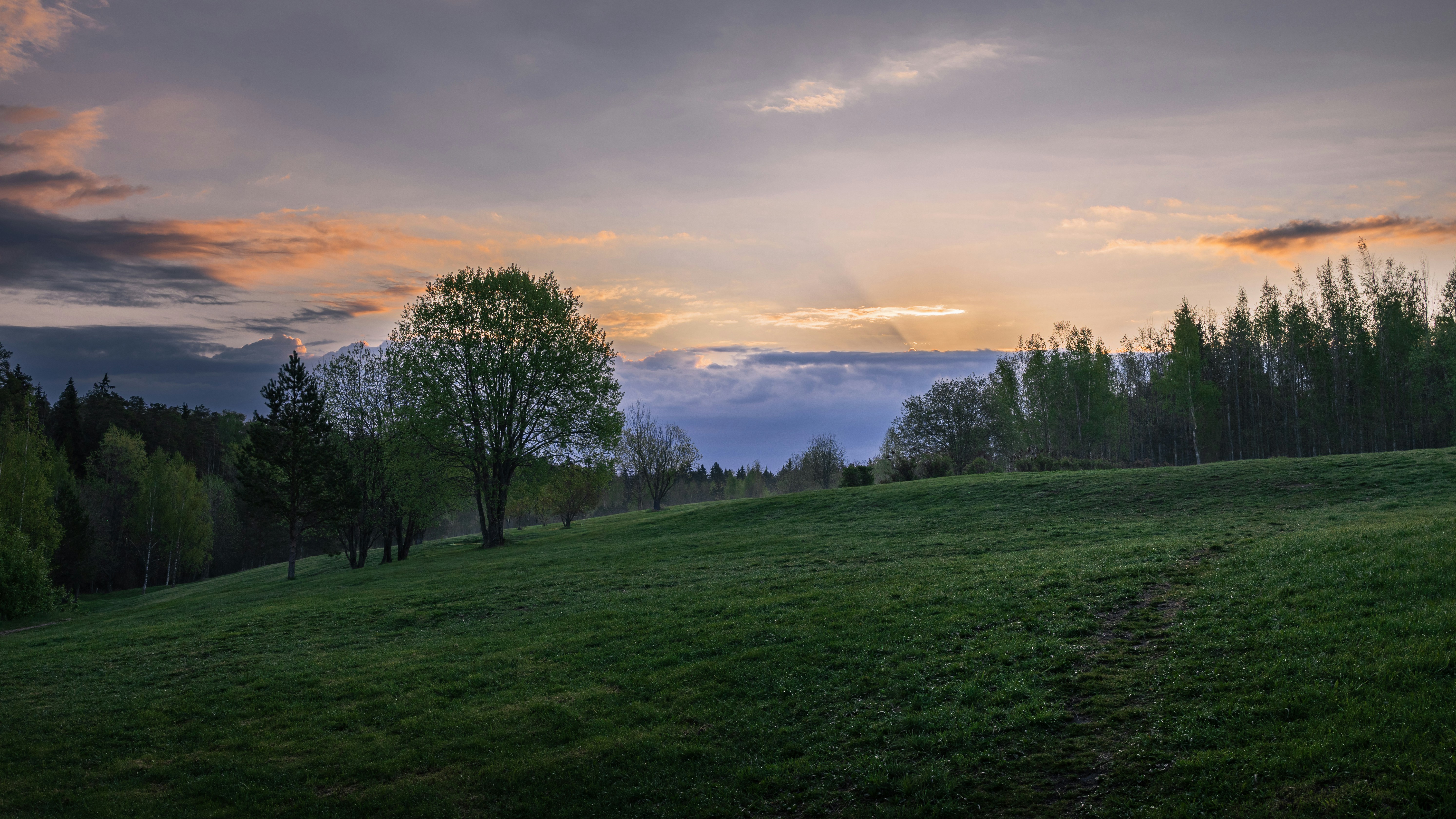 Dawn Over a Ridge: Gentle Hills and Quiet Trees