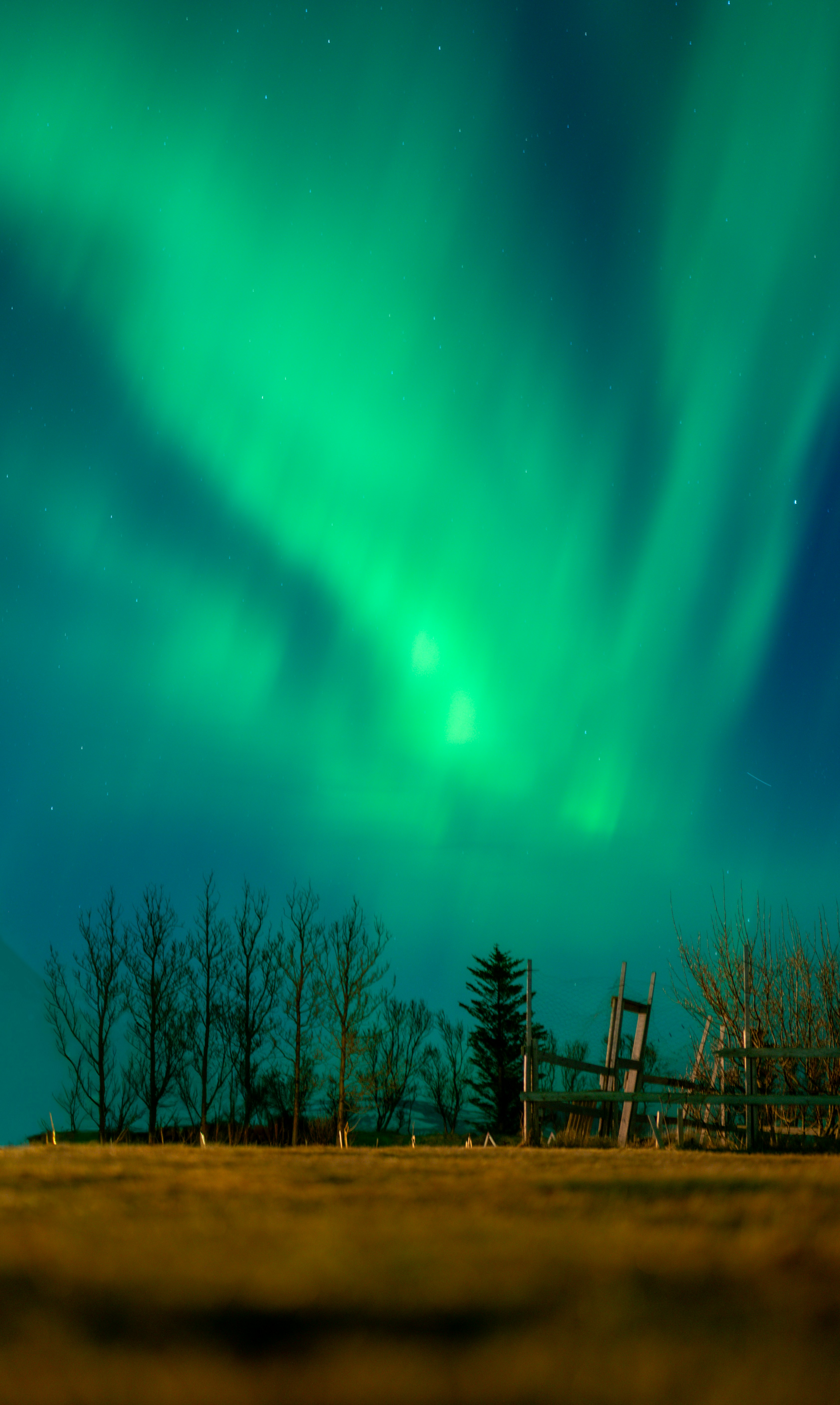 Aurora Over the Quiet Field: Green Veils Above a Bare Horizon