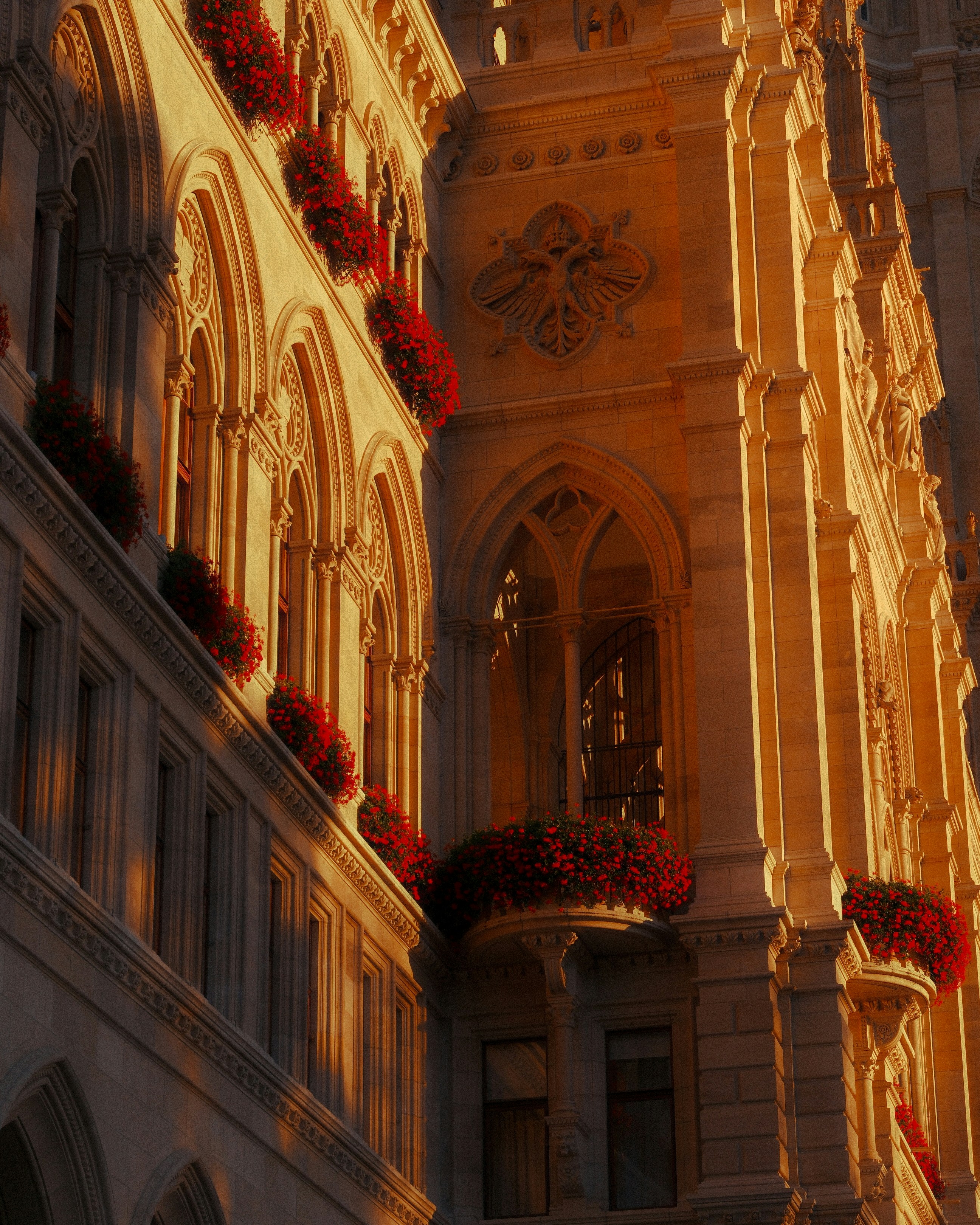 Golden Facade in Evening Light