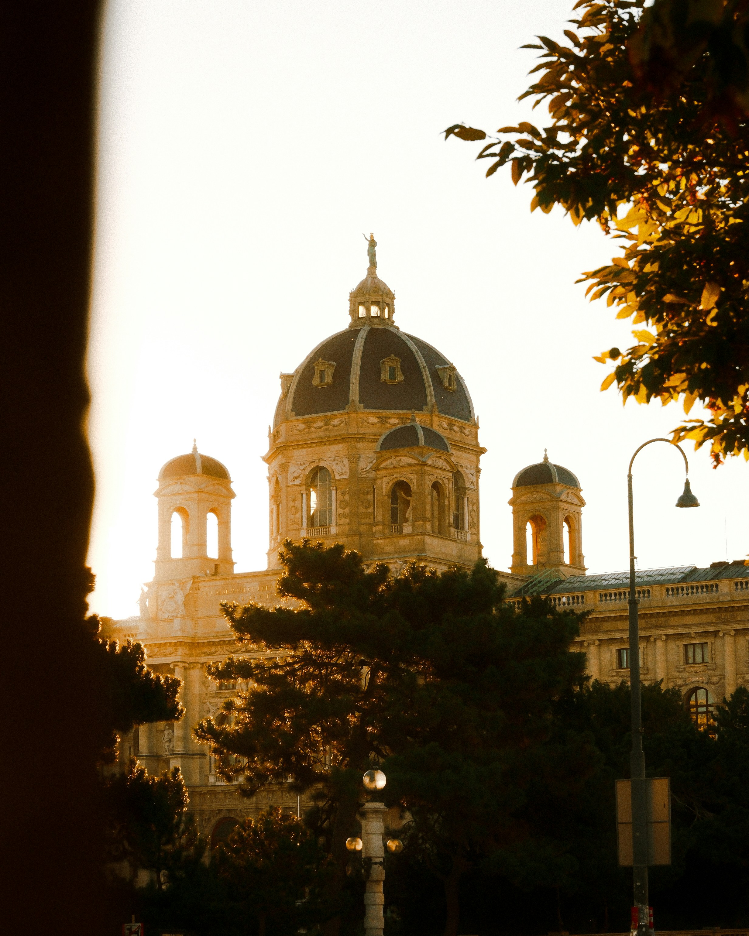 Sunlit Dome of the Civic Hall Rising Through the Trees