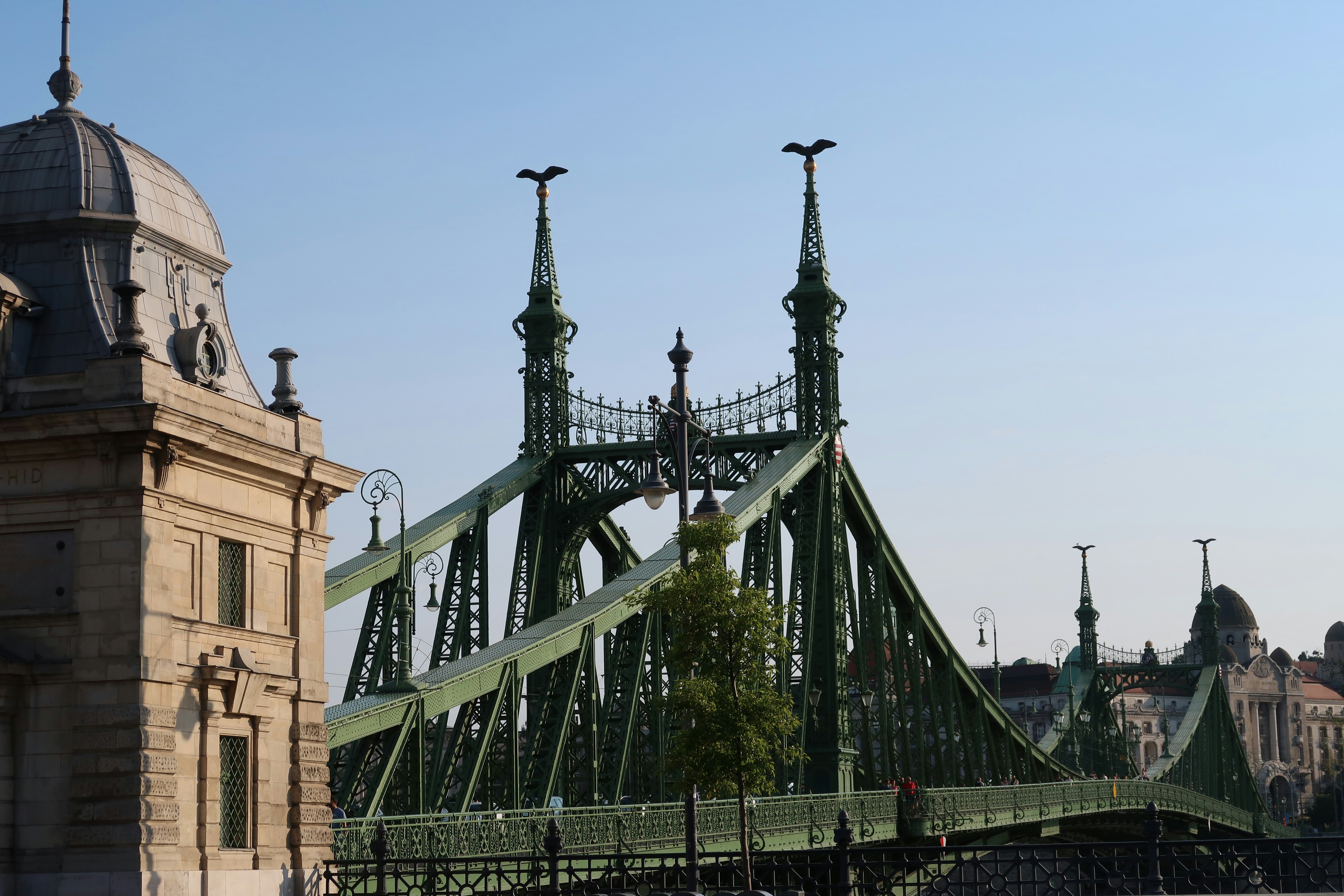 Iron Grace: The Green Bridge Between Sky and Stone
