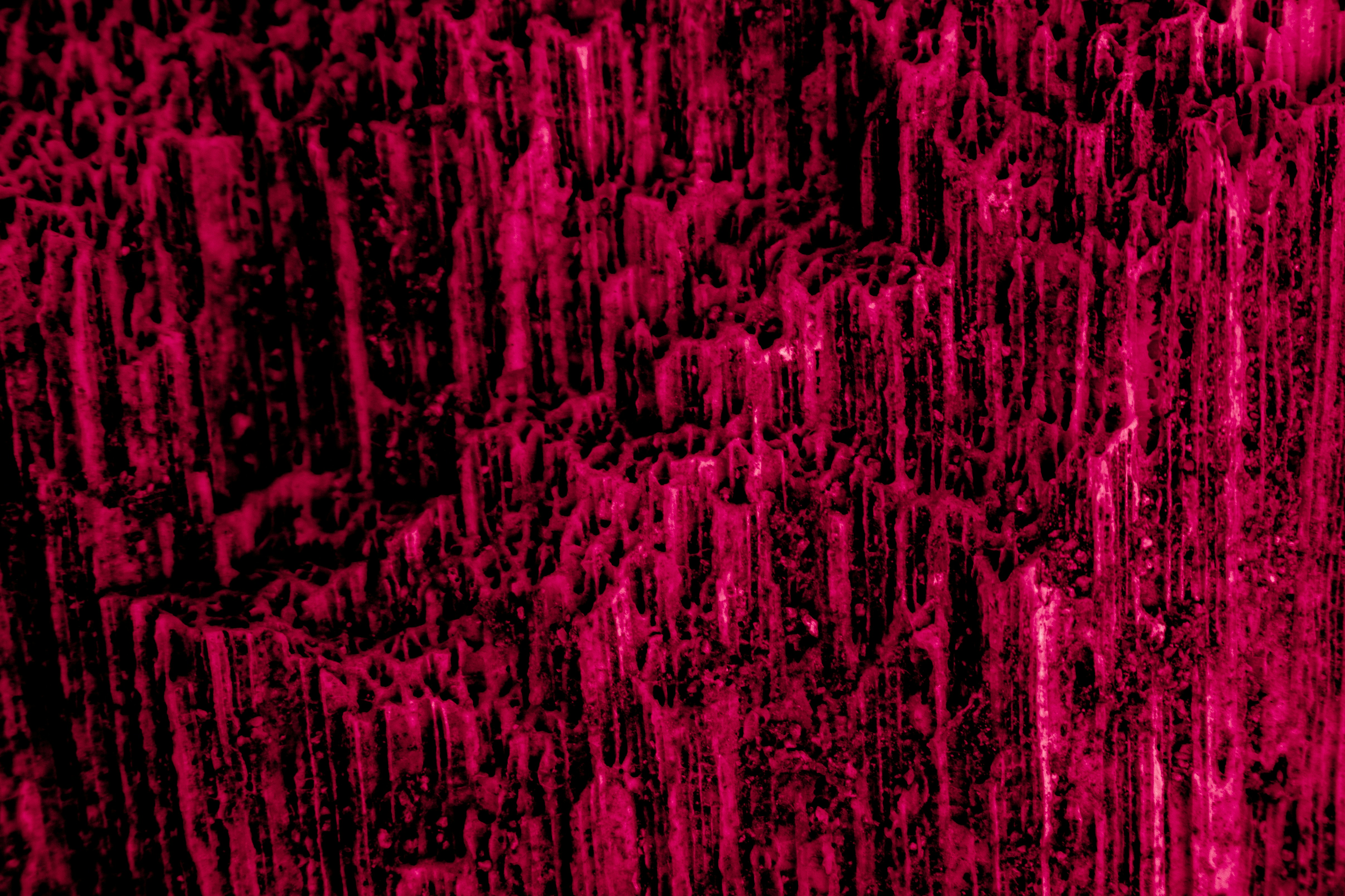 Crimson Timber: A Macro Portrait of Vivid Texture