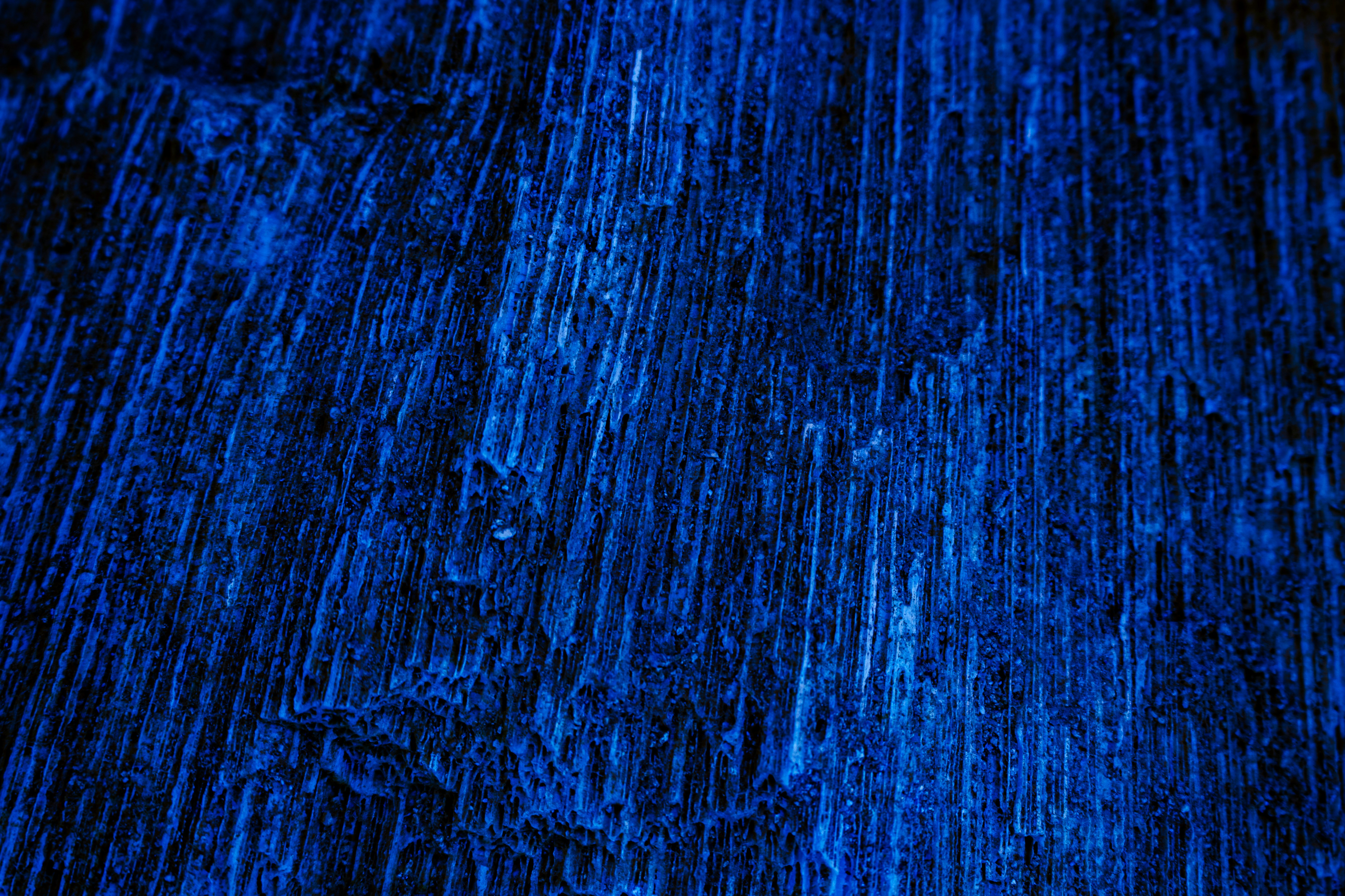 Midnight Grain: An Infrared-esque Texture in Deep Blue