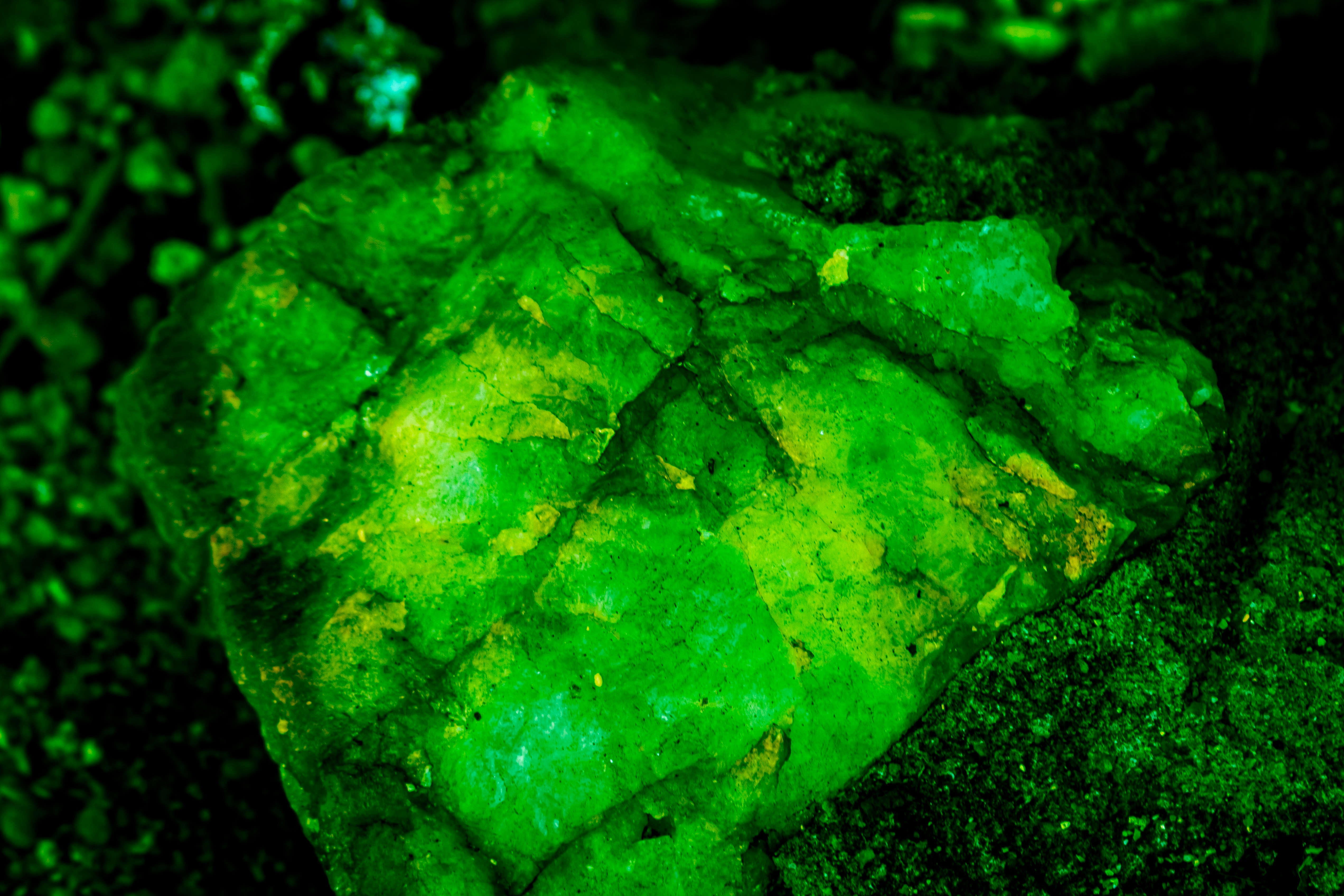 Glowing Emerald Crystals at the Edge of Dark Soil
