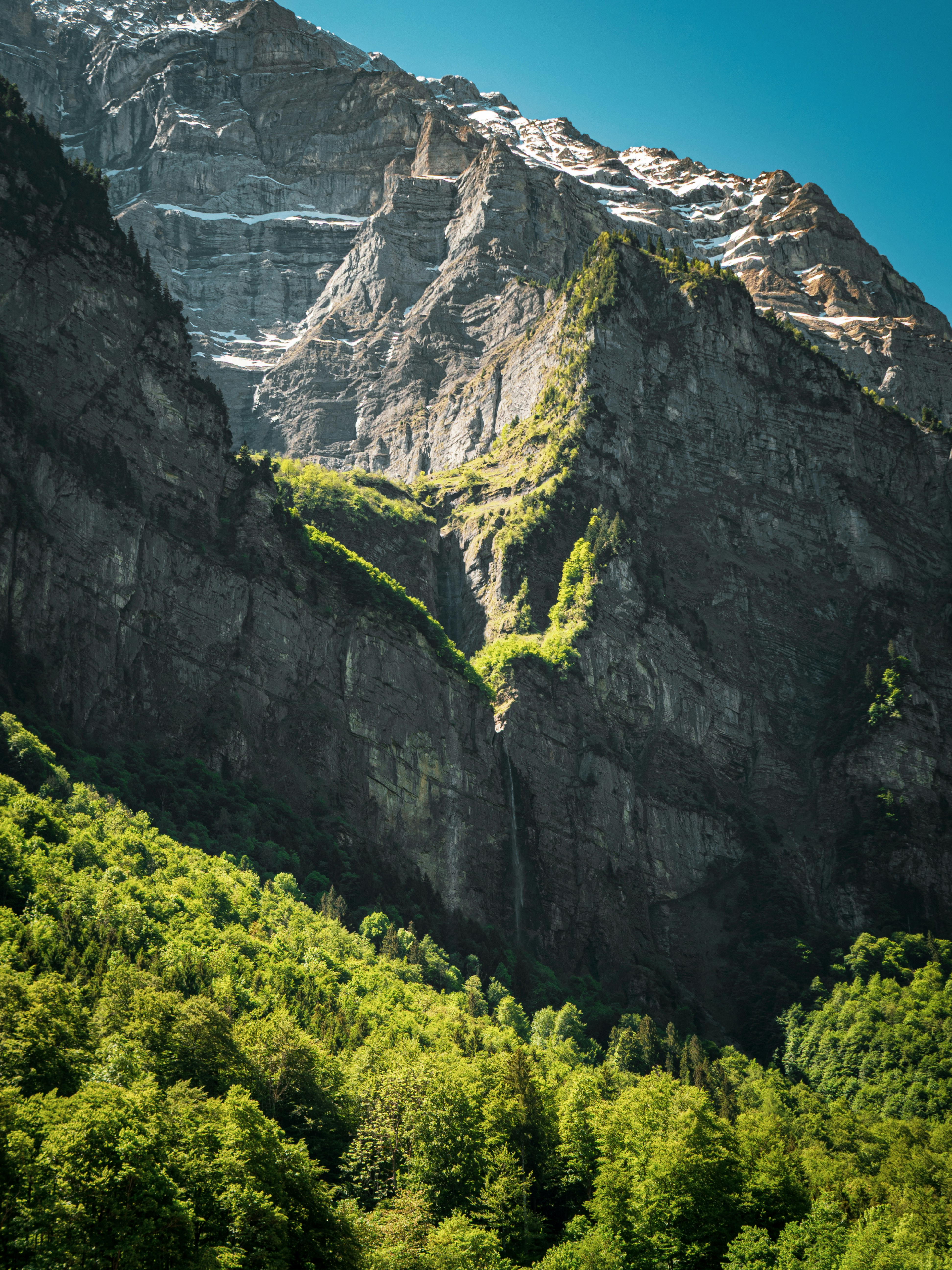 Sunlit Peak Over Gorge: A Vertical Symphony of Stone and Green
