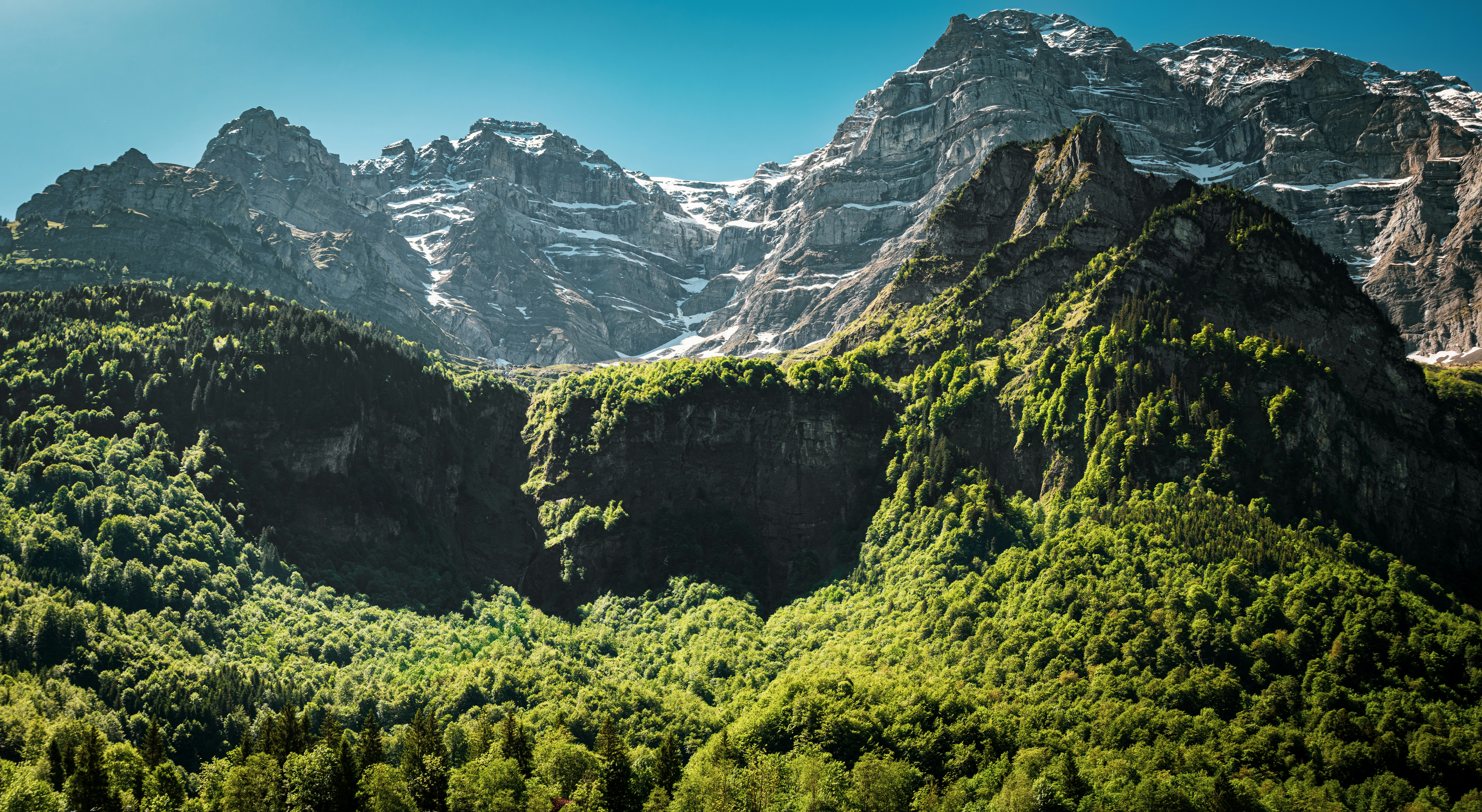 Verdant Valley Between Snow-capped Peaks
