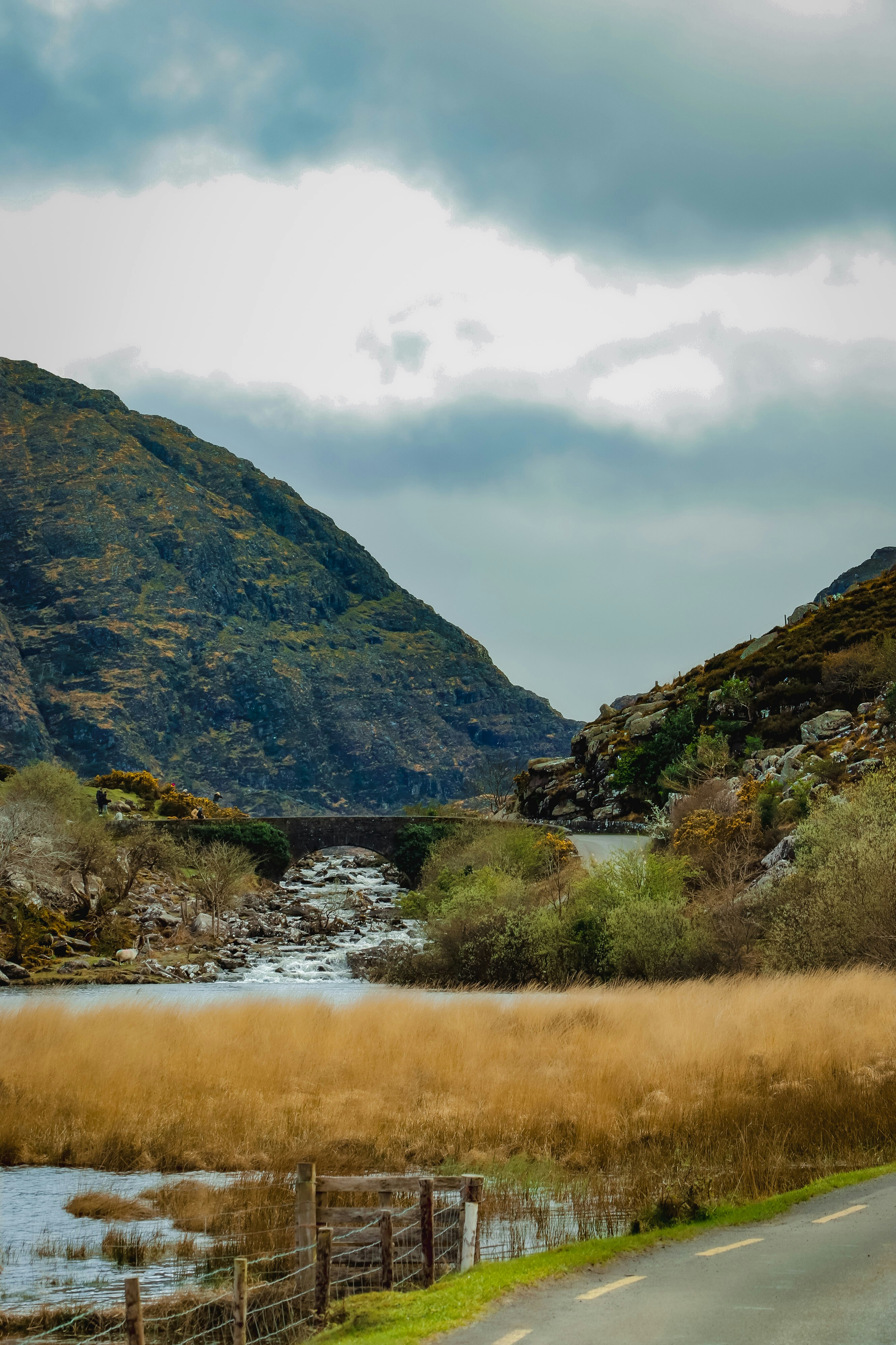 Golden Marsh Road: A Quiet Corridor Between Hills and River