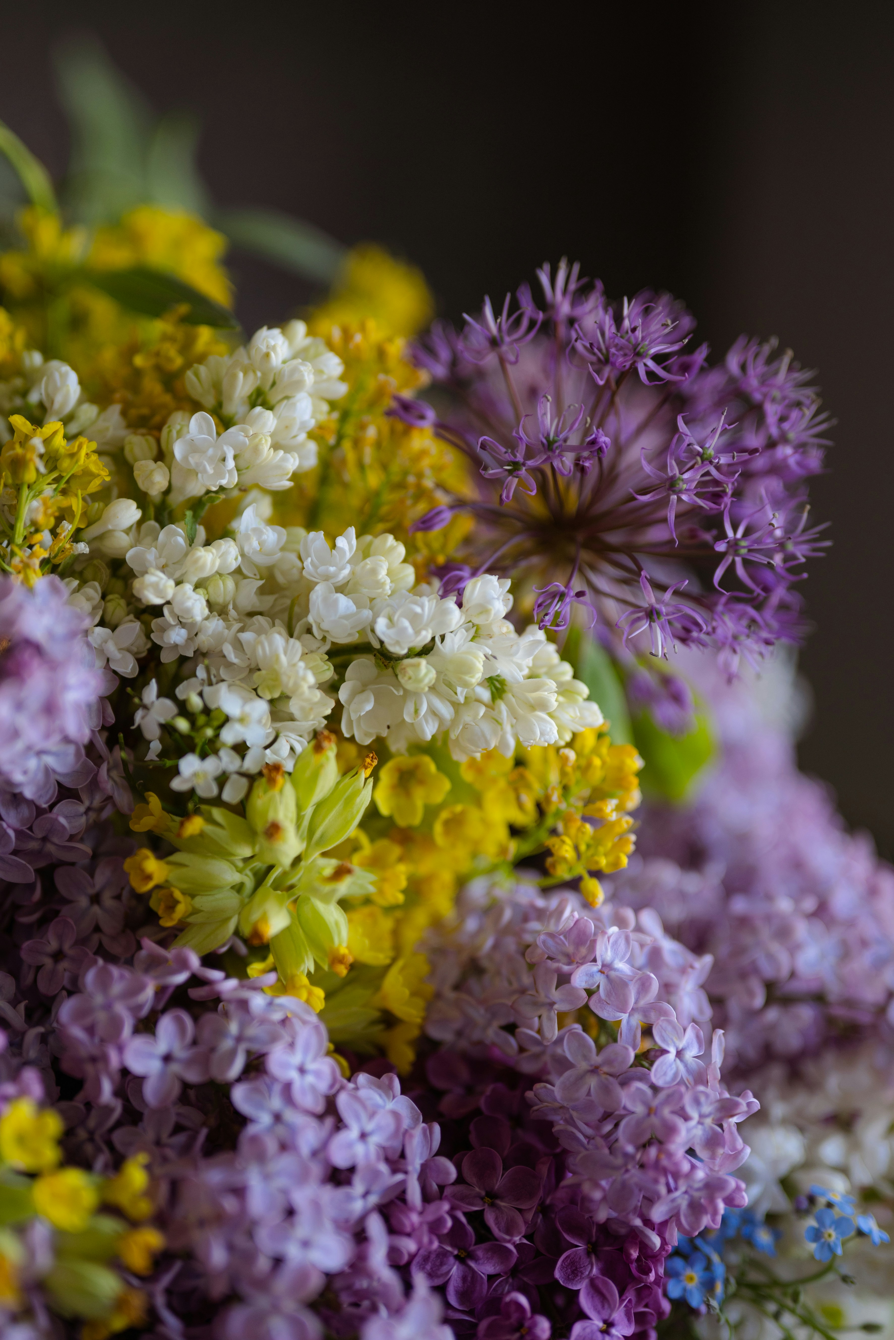 A Burst of Spring: Colorful Hydrangea Bouquet in Soft Light