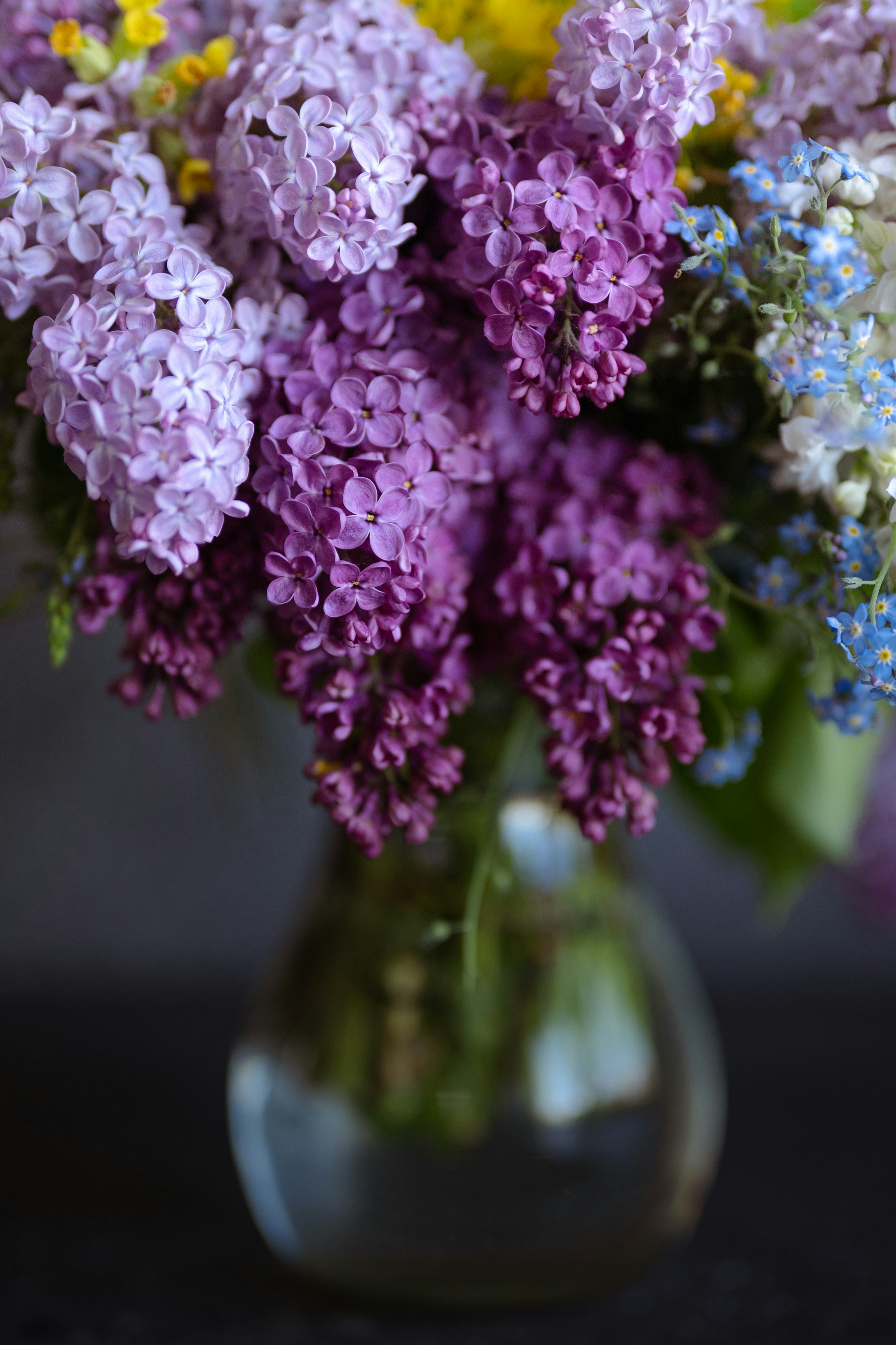 Lilac Cascade in Focus: A Vase of Spring Colors