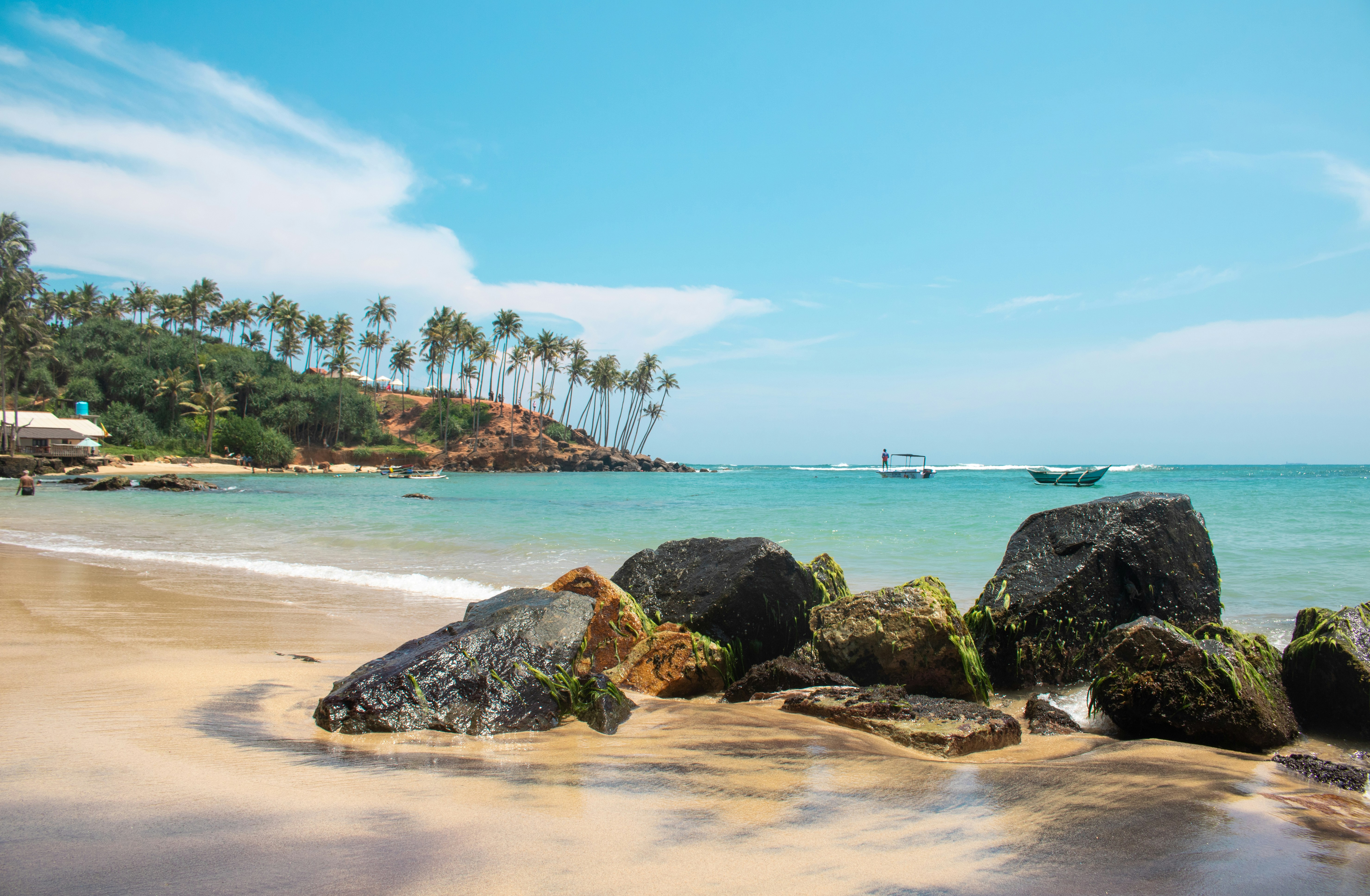 Coastal Rocks Steady Edge: Beach, Palm Row, and A Calm Sea