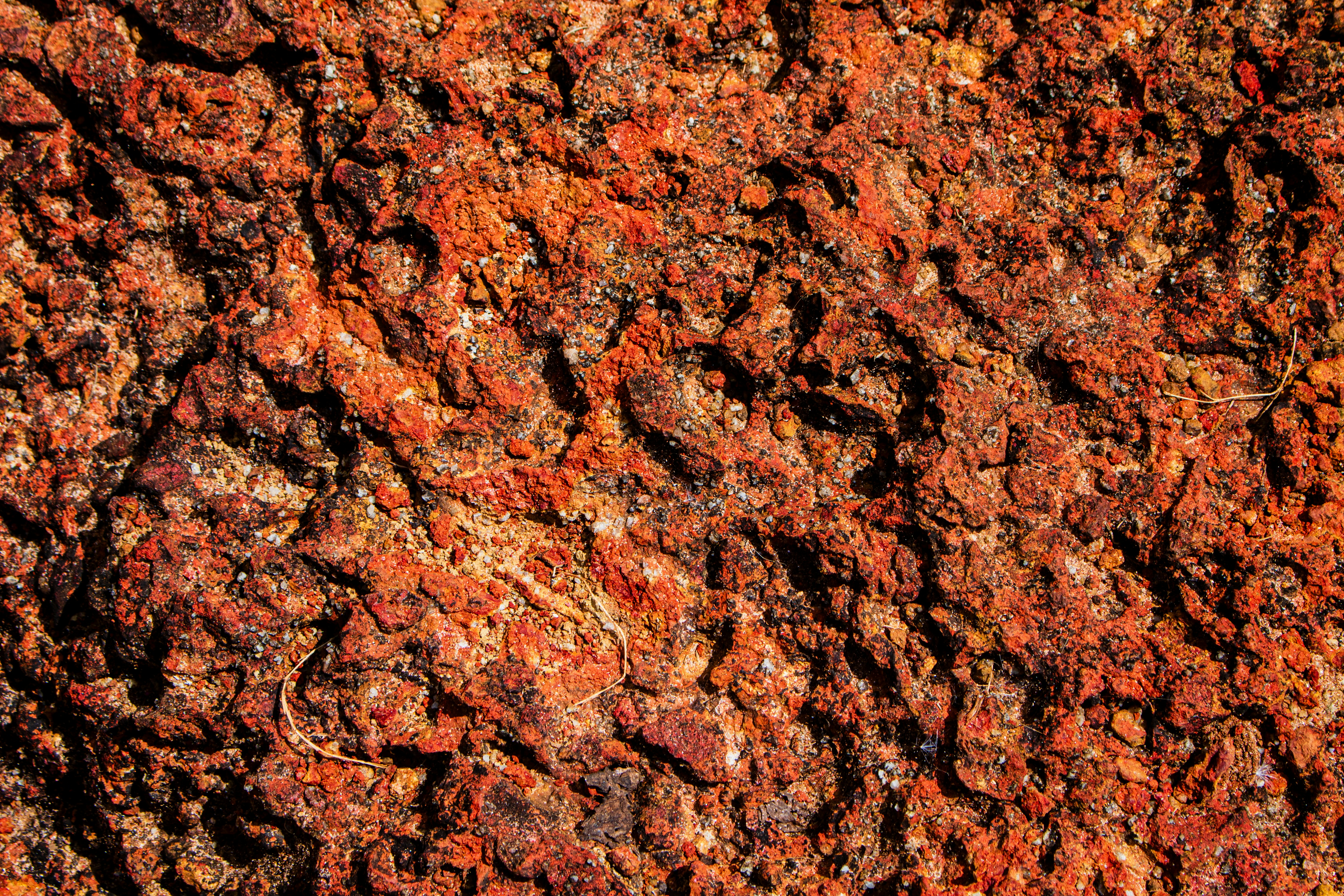 Crimson Crust: A Microtexture of Earthy Vernix