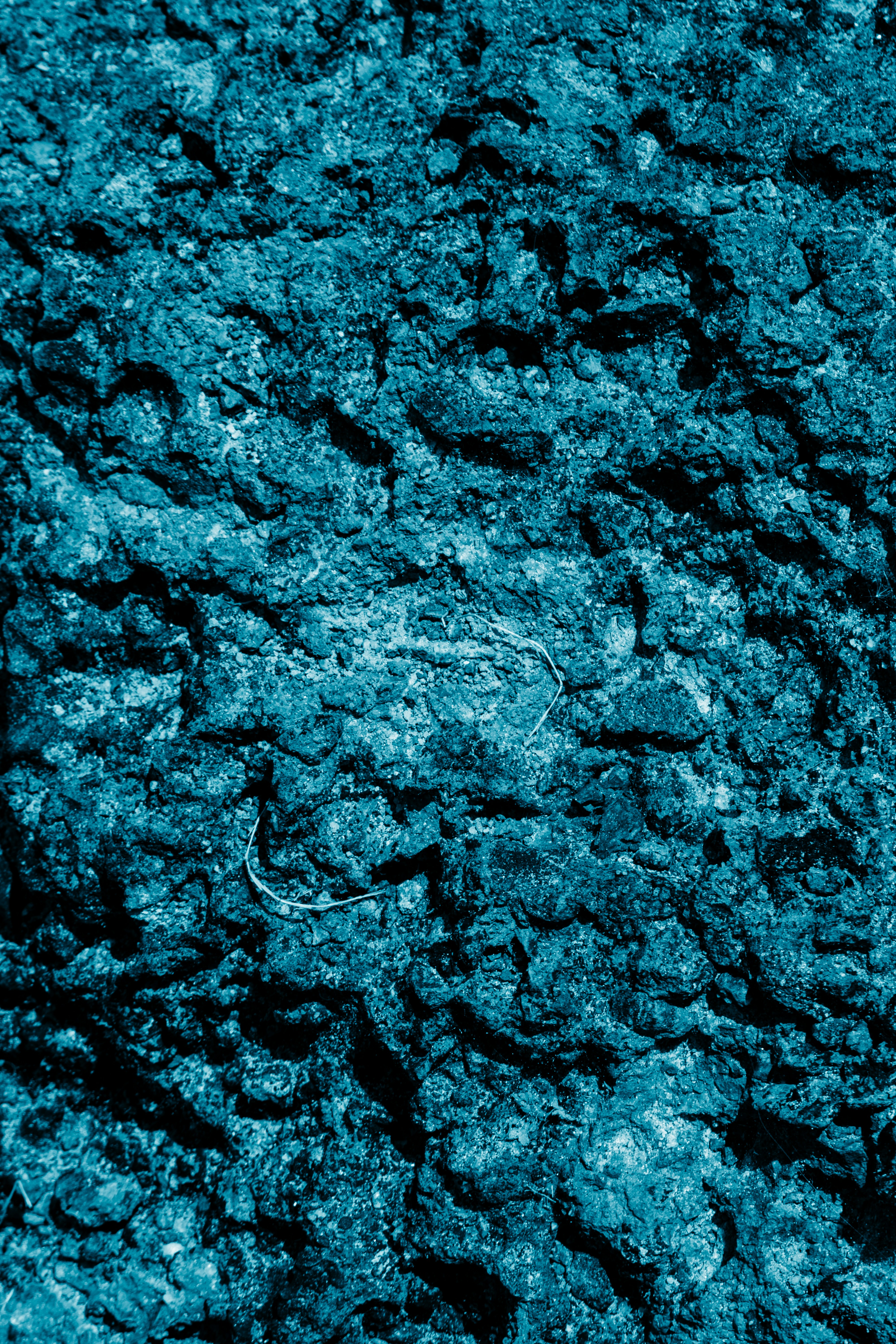 Cracked Earth in Cyan Shadows