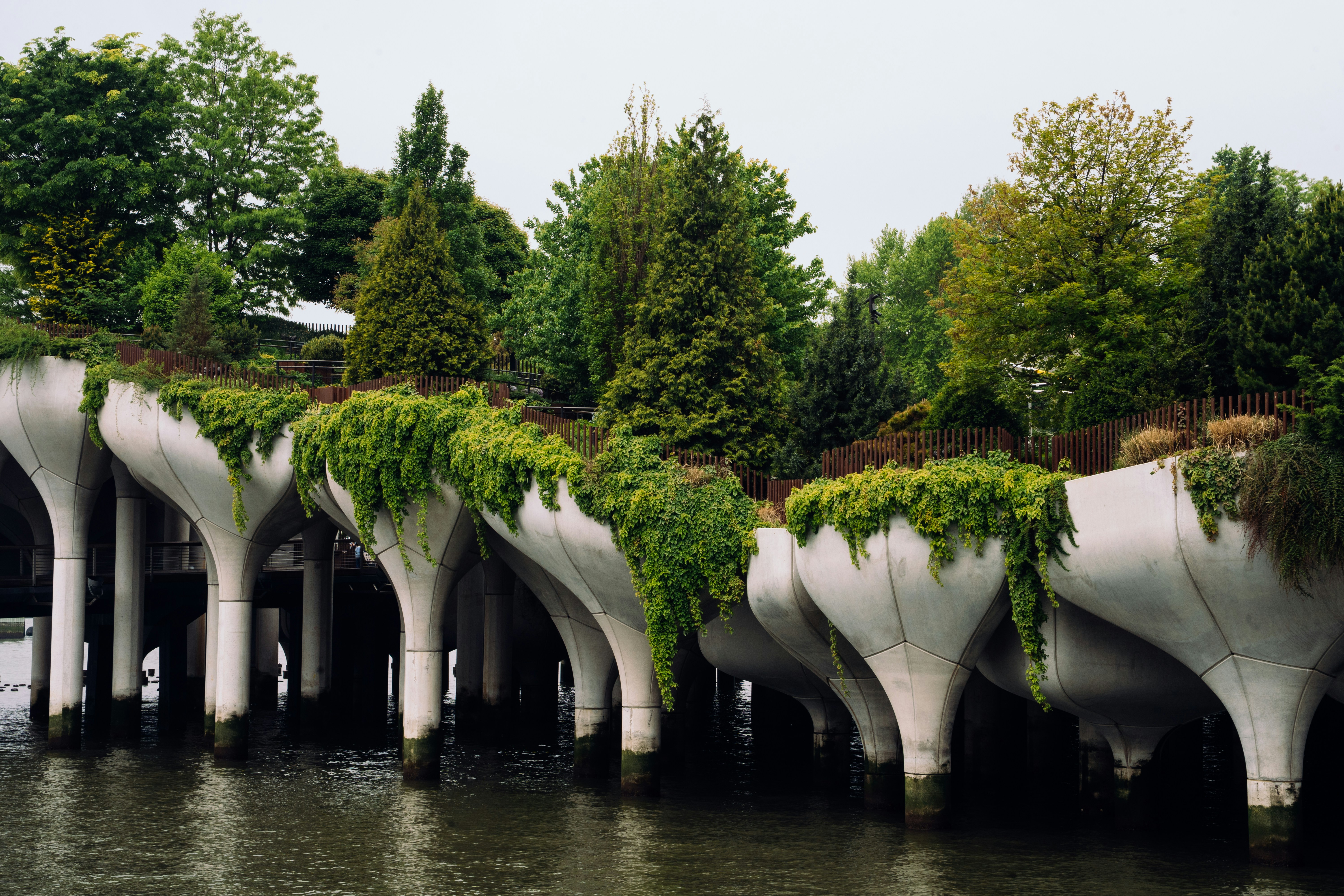 Green Courtyard Arches: Nature Rekindling ConcreteContours