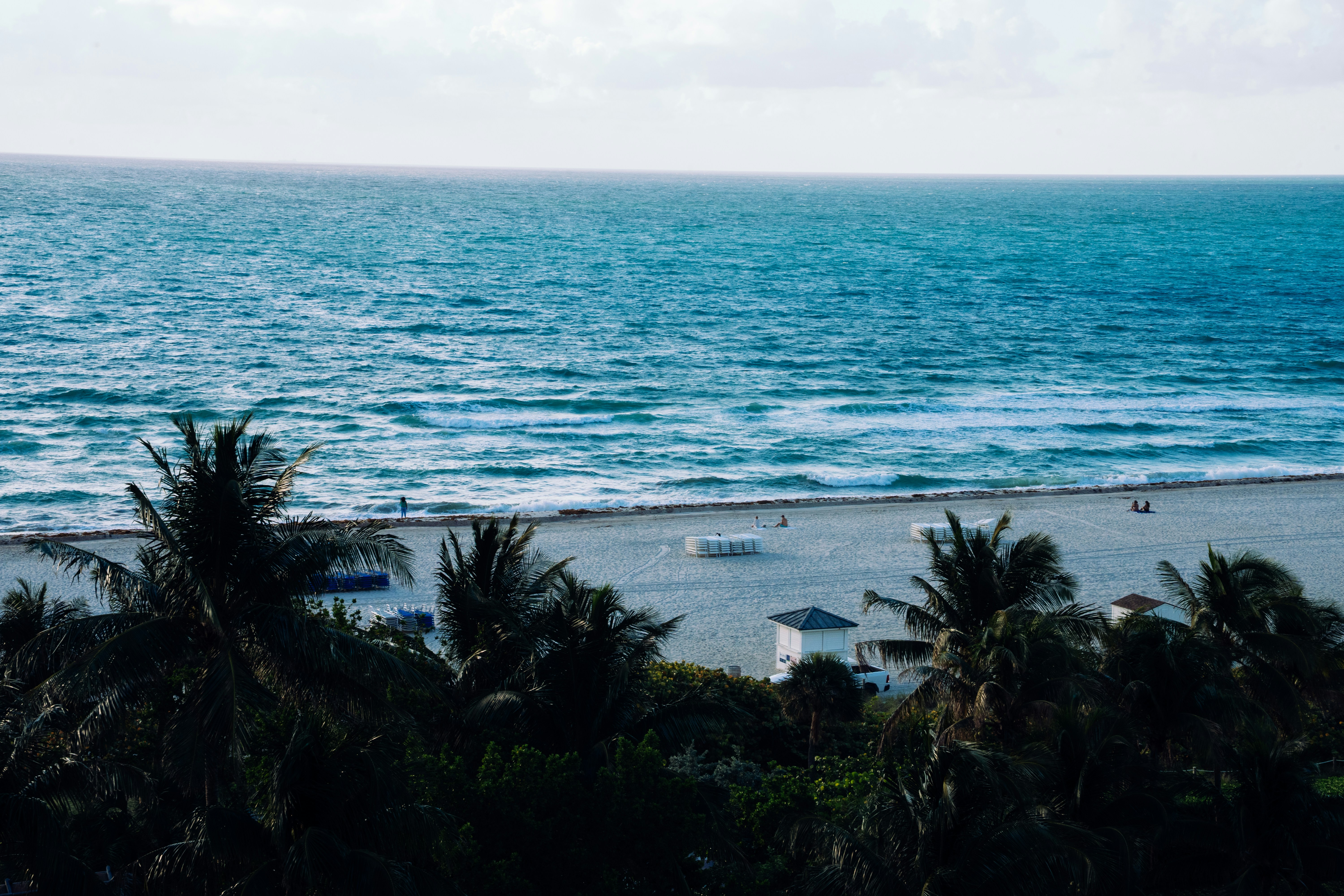 Coastal Watch: Fringes of Palm and Ocean Sprawl