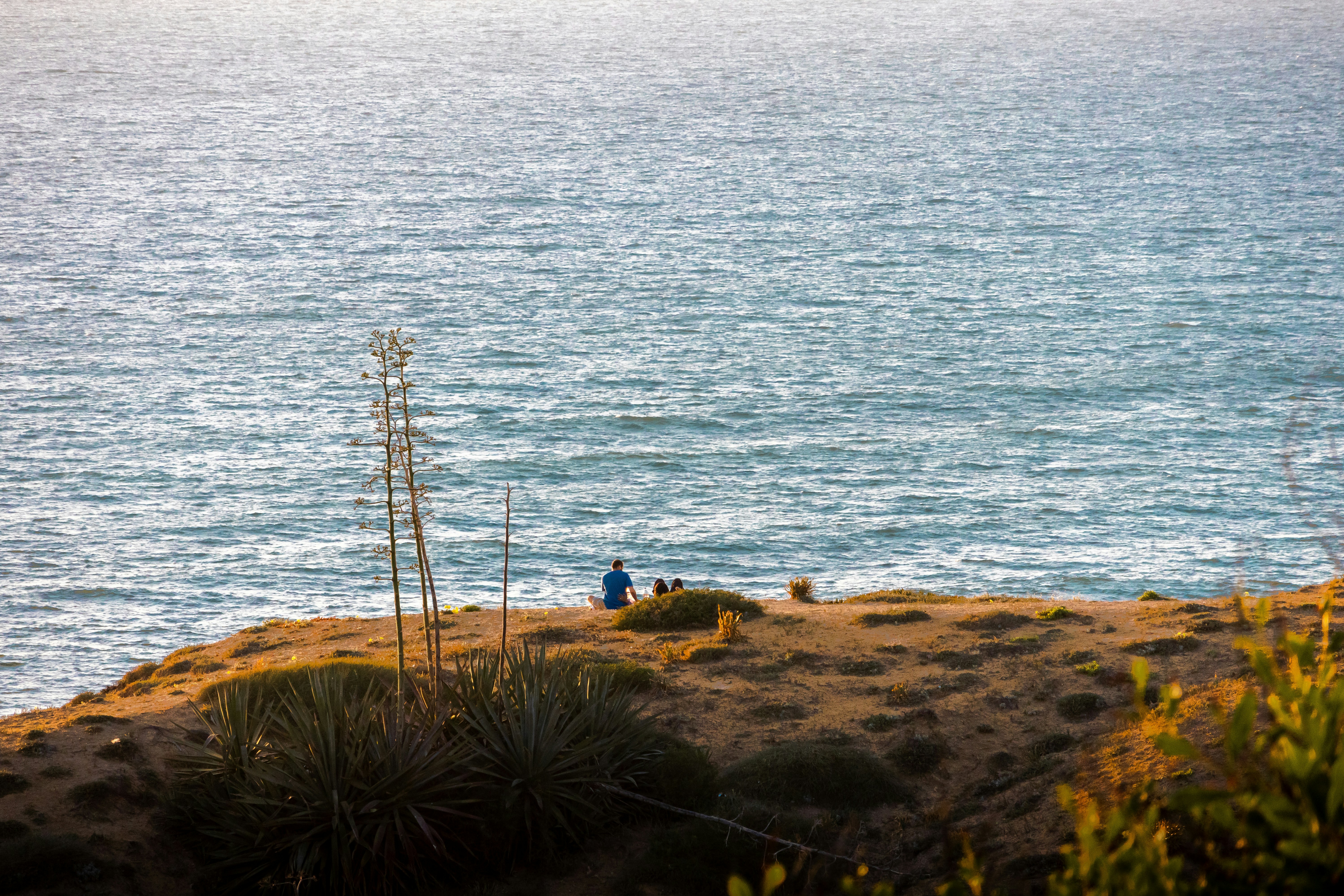 Coastal Cliffs: Quiet Moment by the Sea