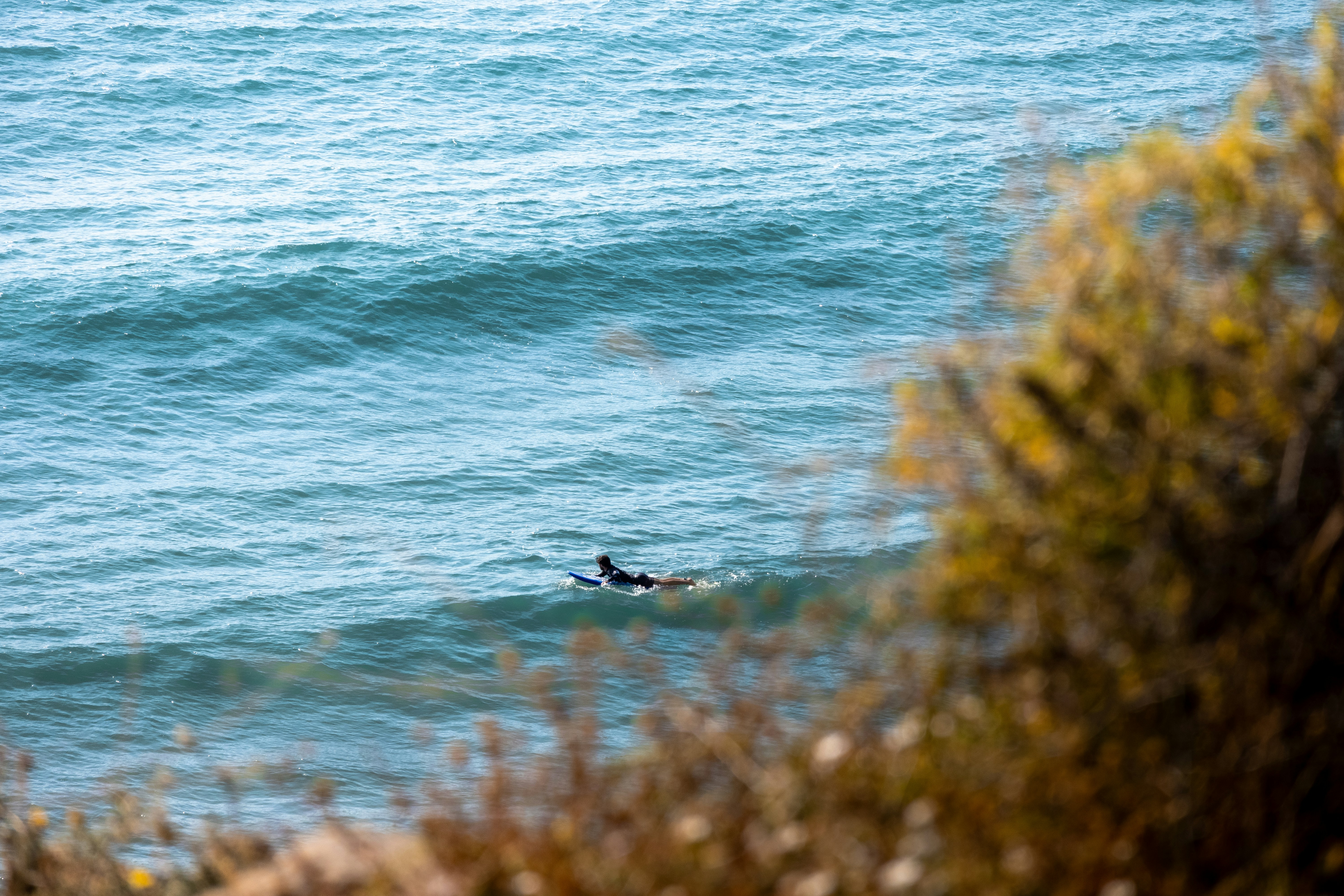 Small Wave Rider: A lone surfer on distant blue swells