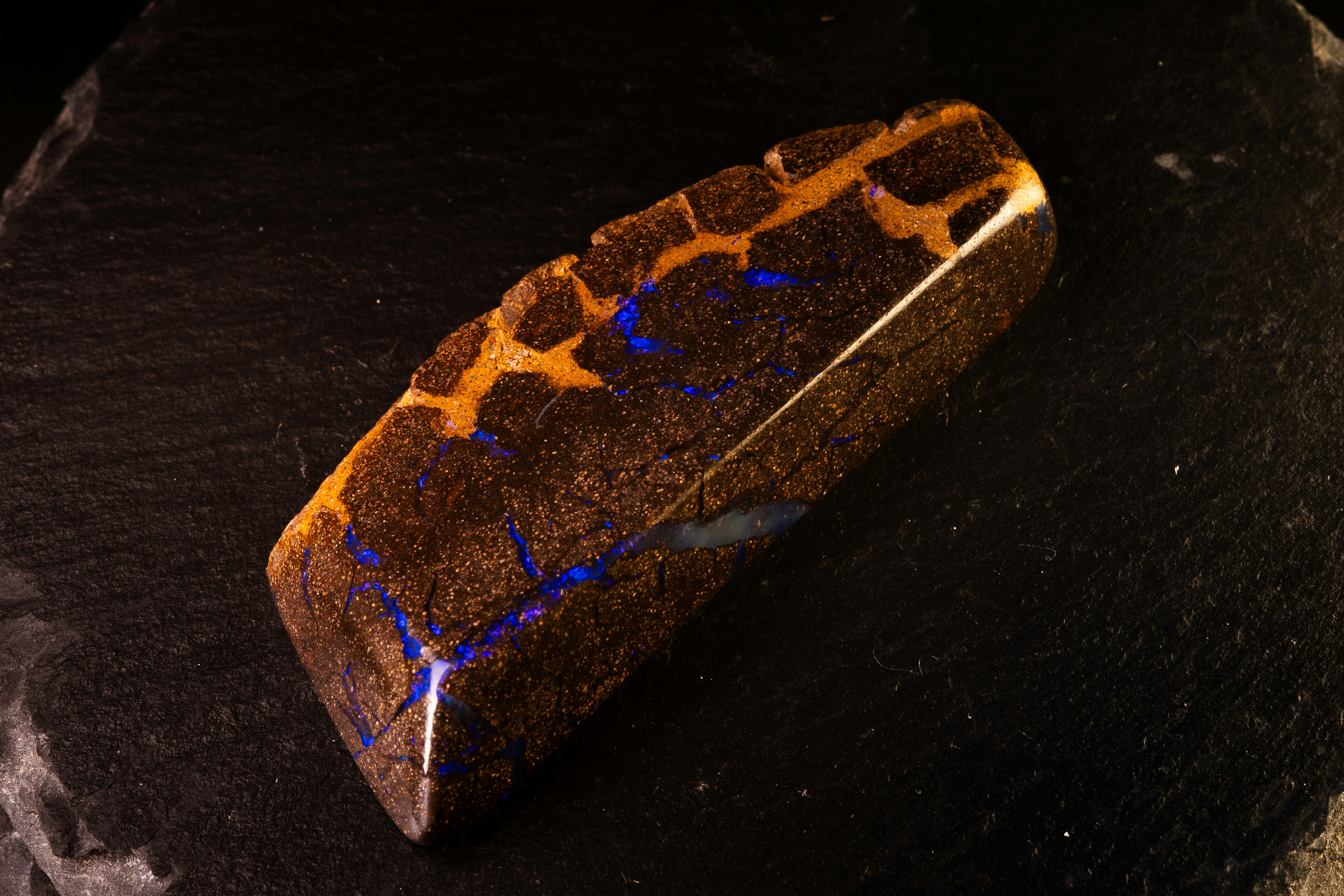 Golden Veined Stone: a luminous segment of mineral on a dark slate canvas