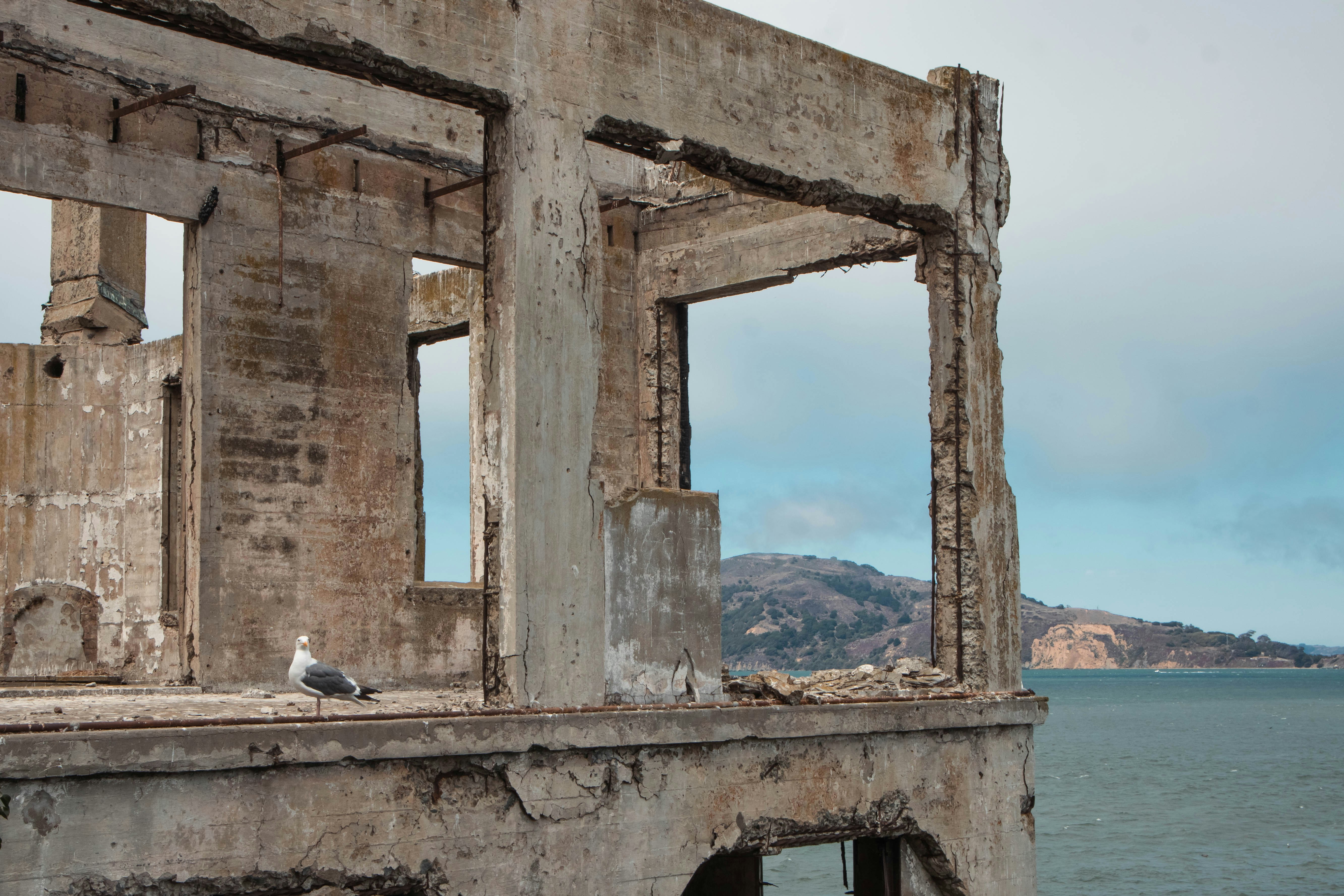 Ruined Seabreak Window: A Seagull Watcher by the Shore