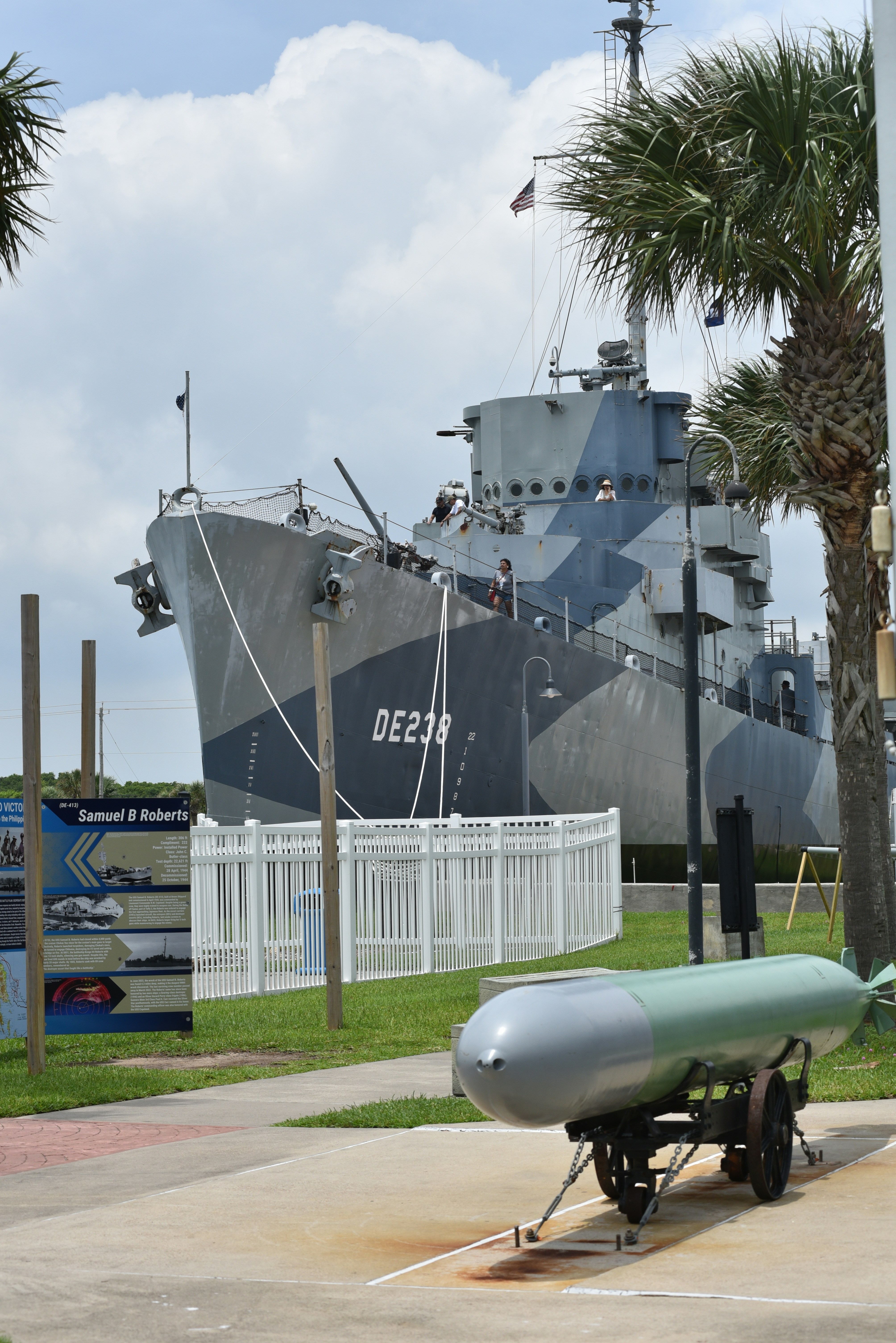 Harbor Guardian: A Warship Pierced by Palm Shadows