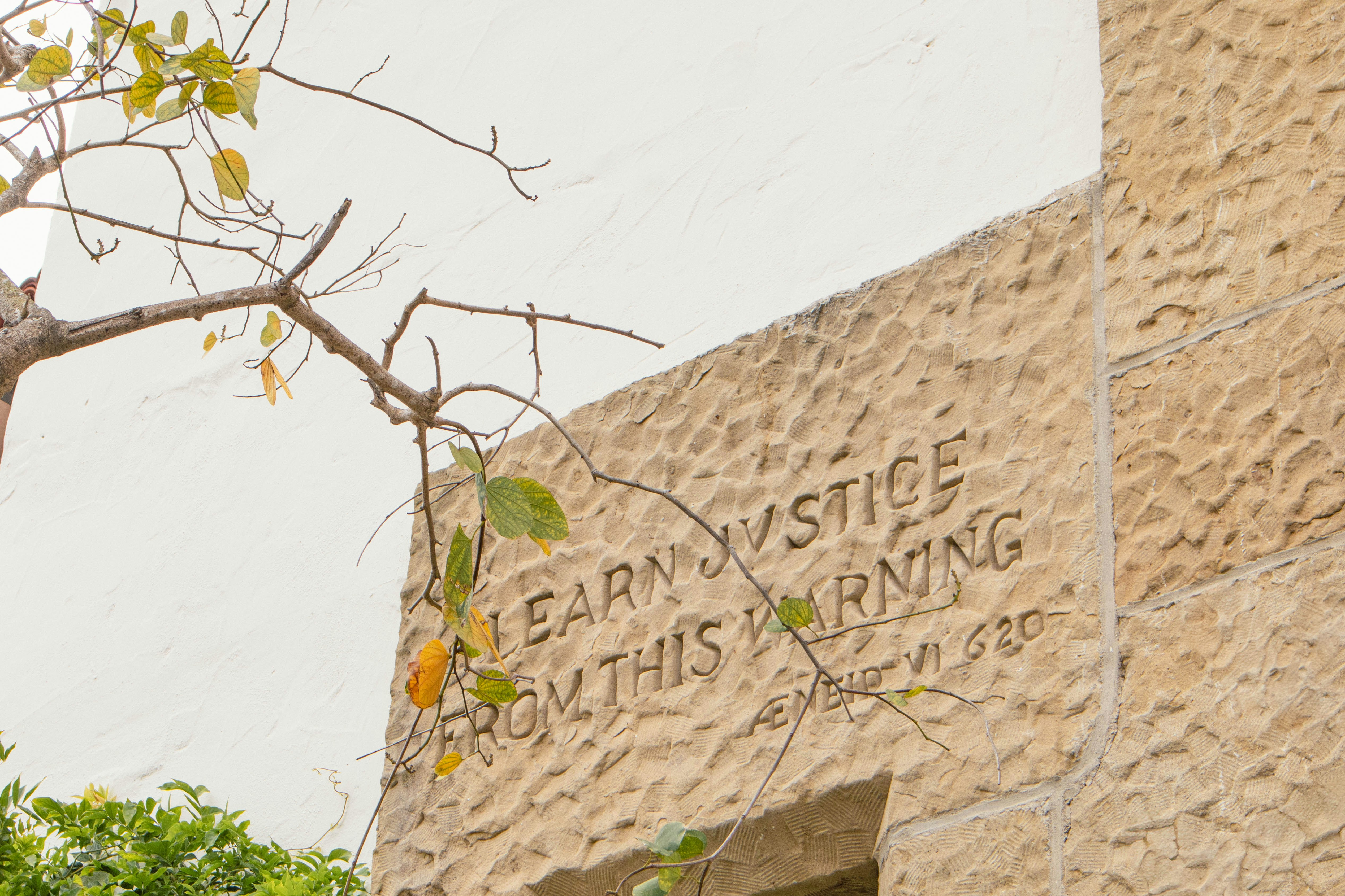 Stone relief and ivy with an inscription on a sunlit wall