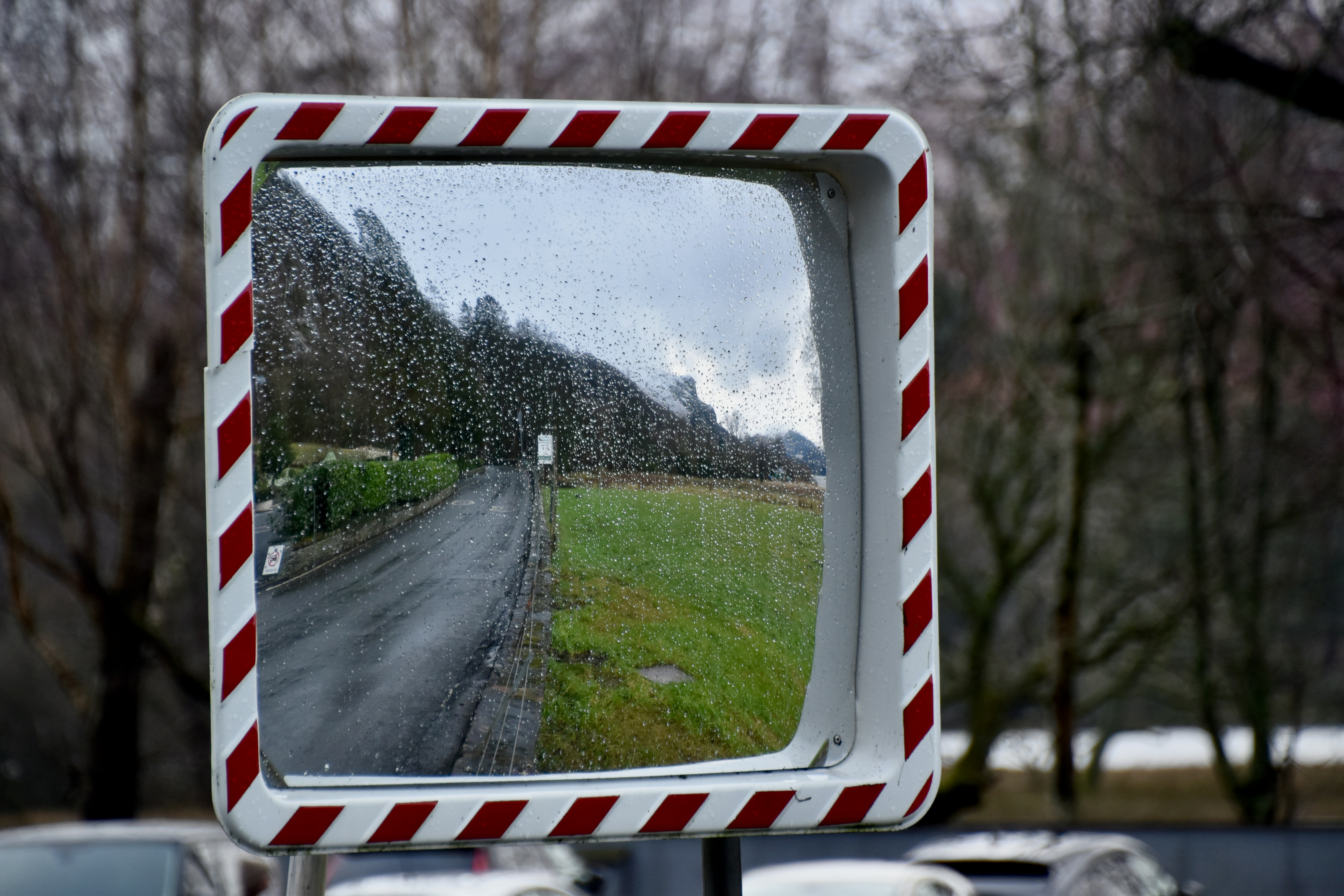 Mirror of the Road: A Rain-Kissed Sign Reflects the Quiet Street