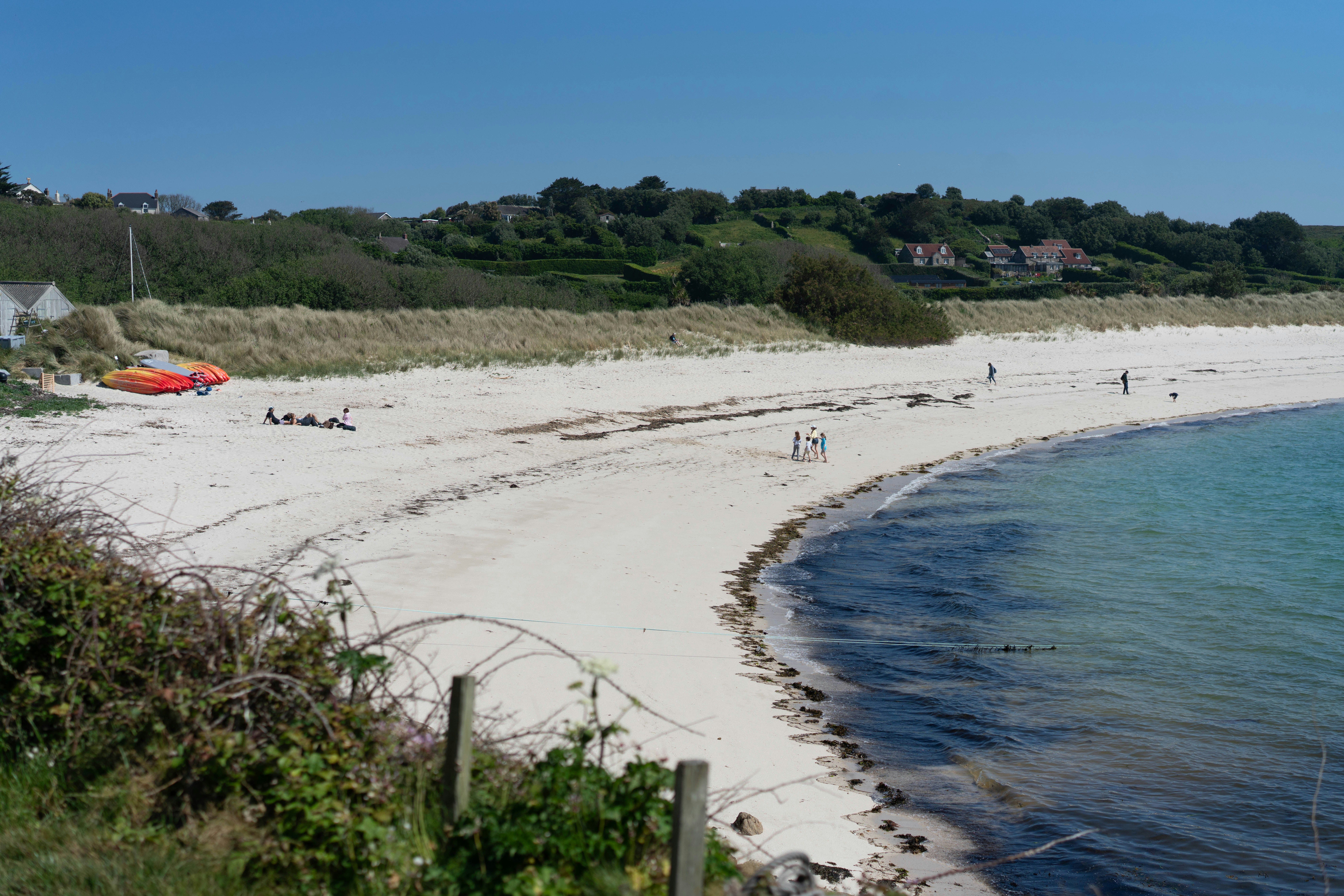 Quiet Curved Shore: Beachgoers and Cresting Tide