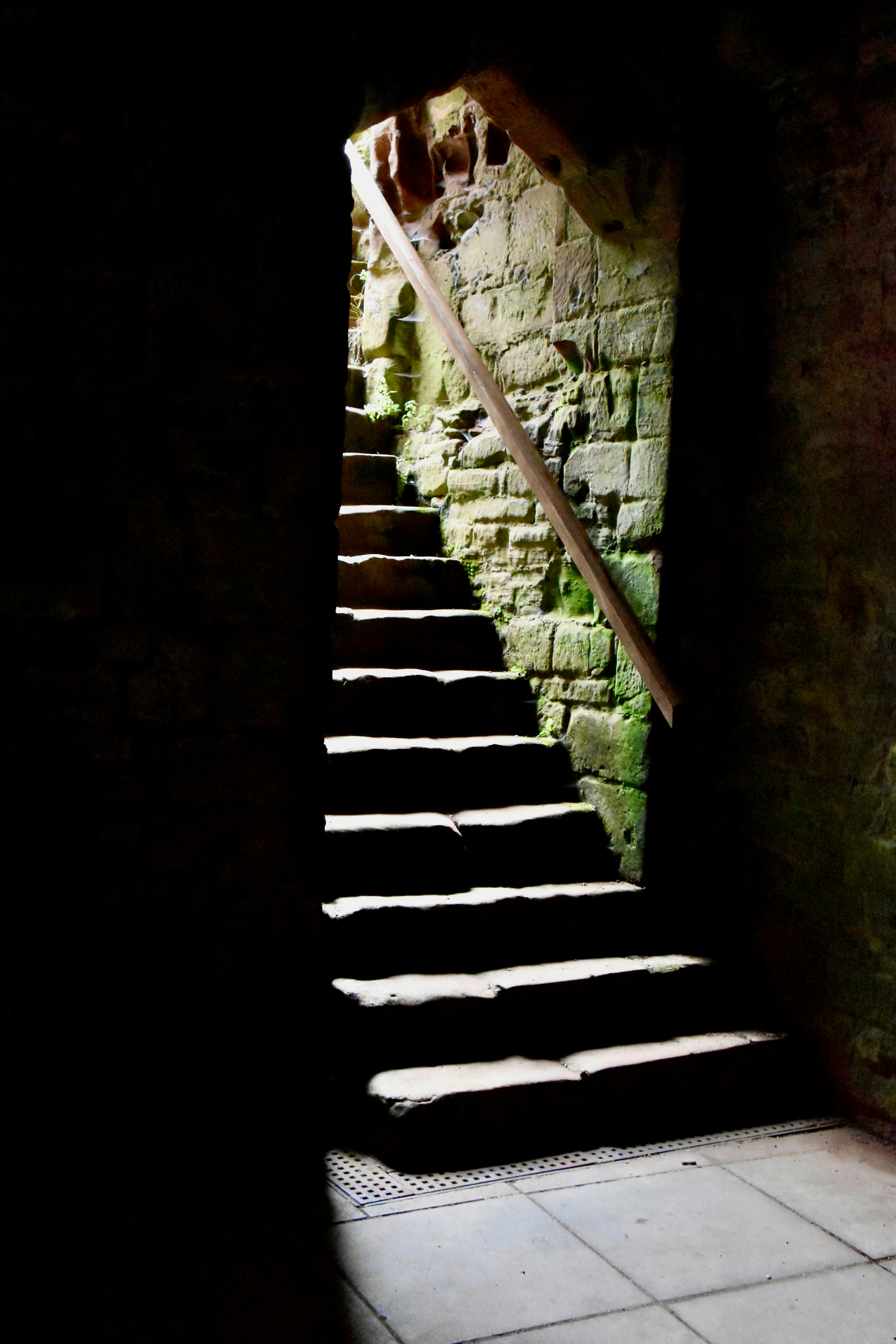 Stairwell into Light: Mossy Steps and a Silent Descent