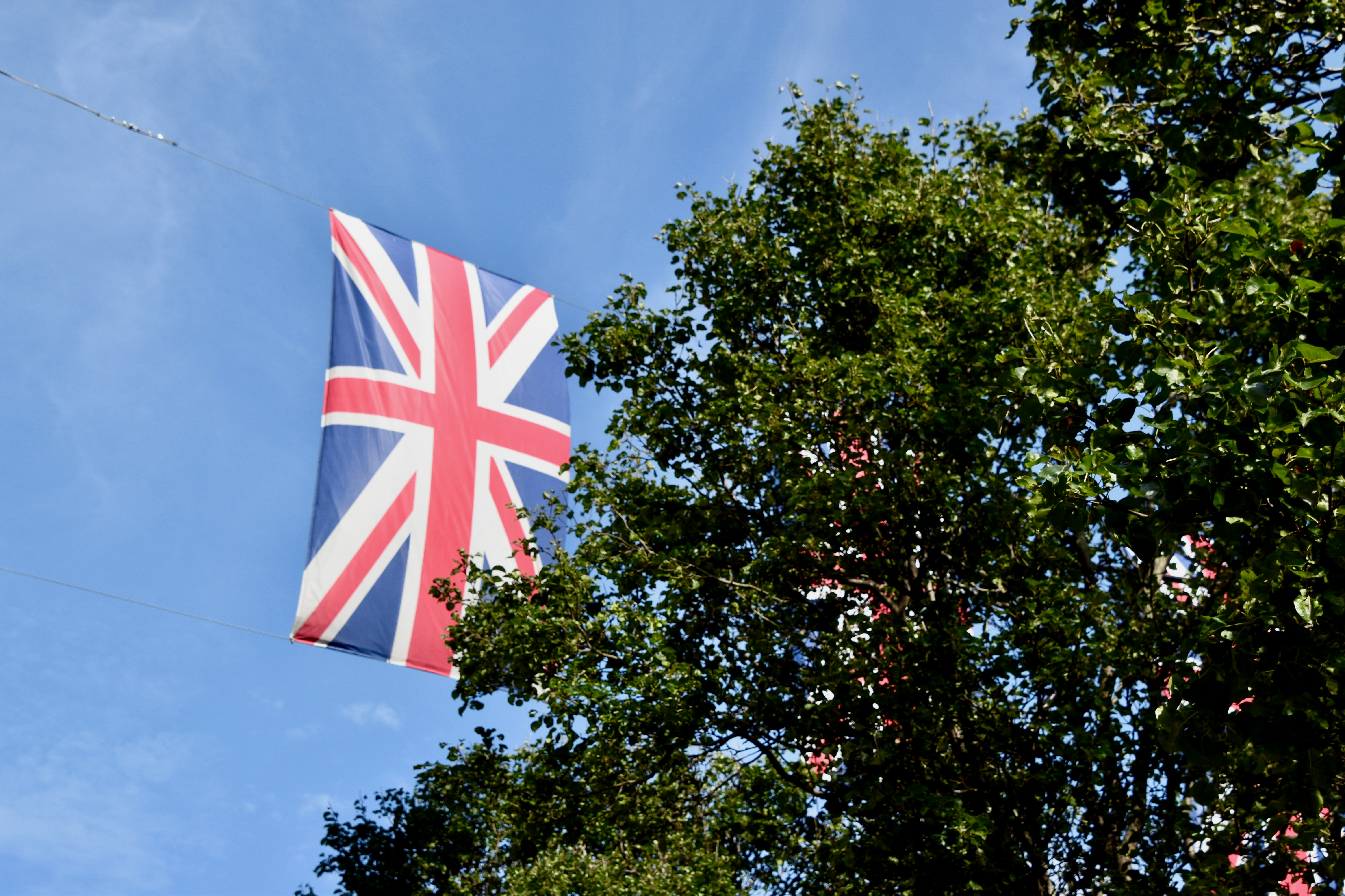 Union Banner above the Canopy