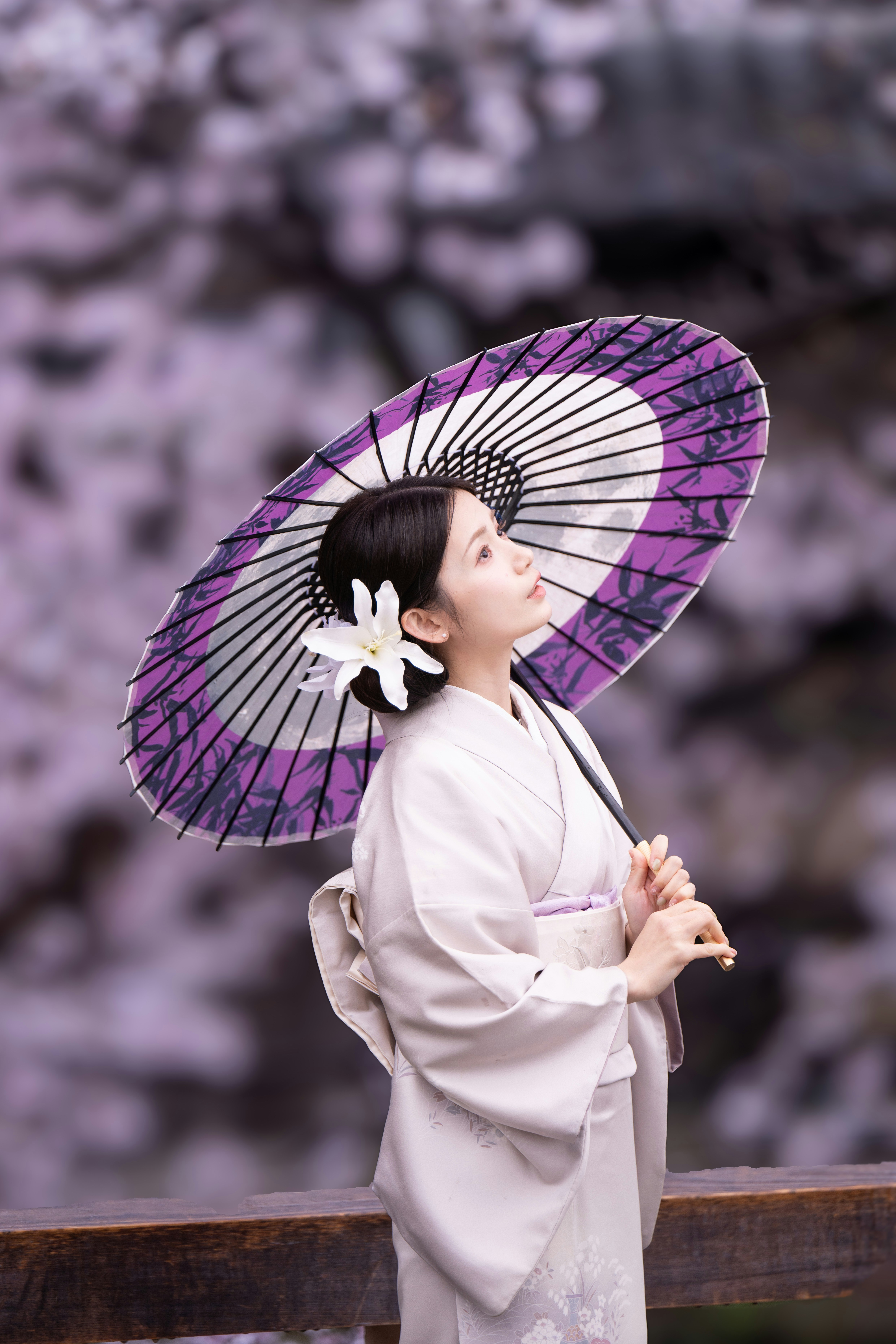 Whispering Sakura: A Geisha Beneath a Violet Umbrella
