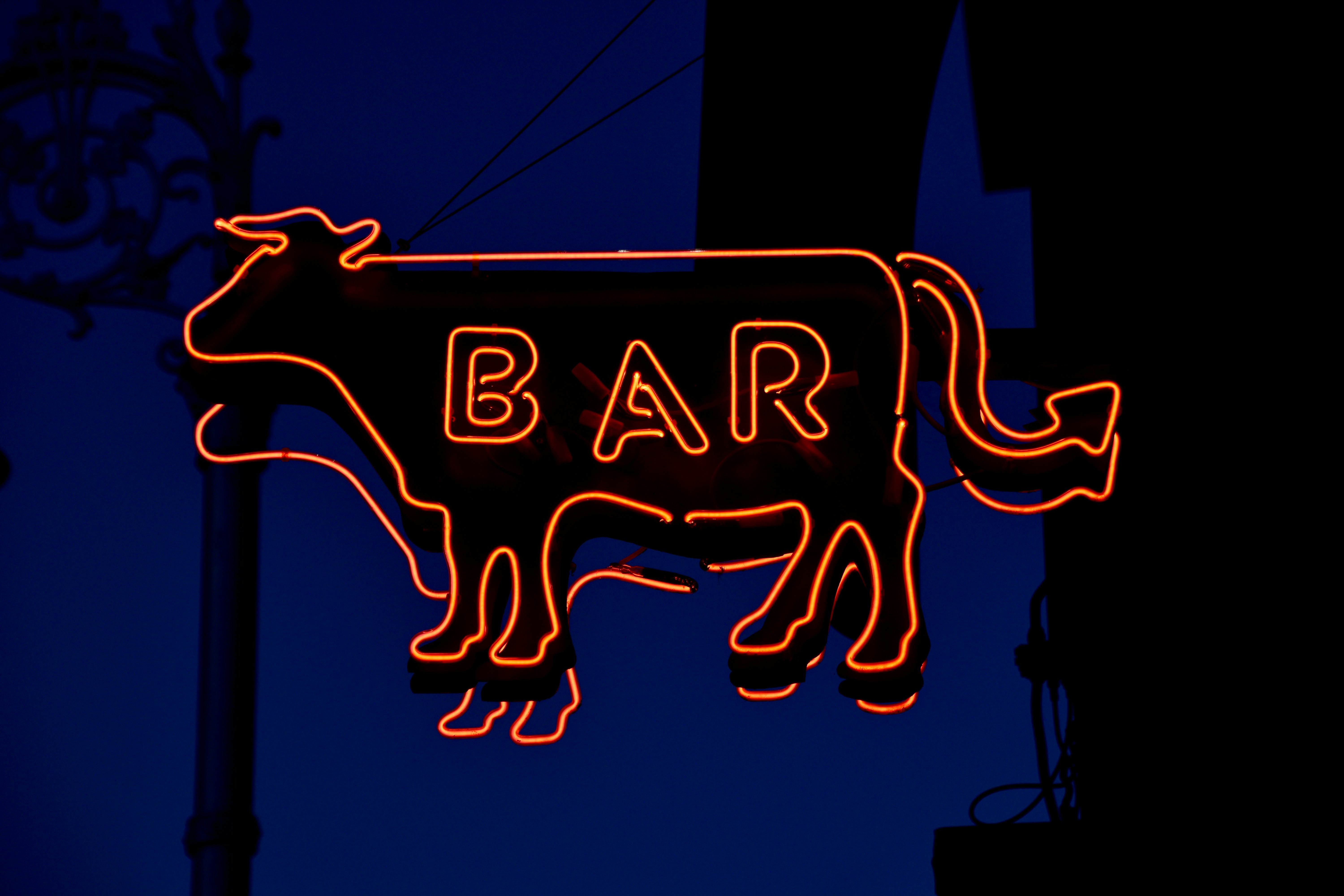 Electric Bull: Neon Sign Glowing in Twilight