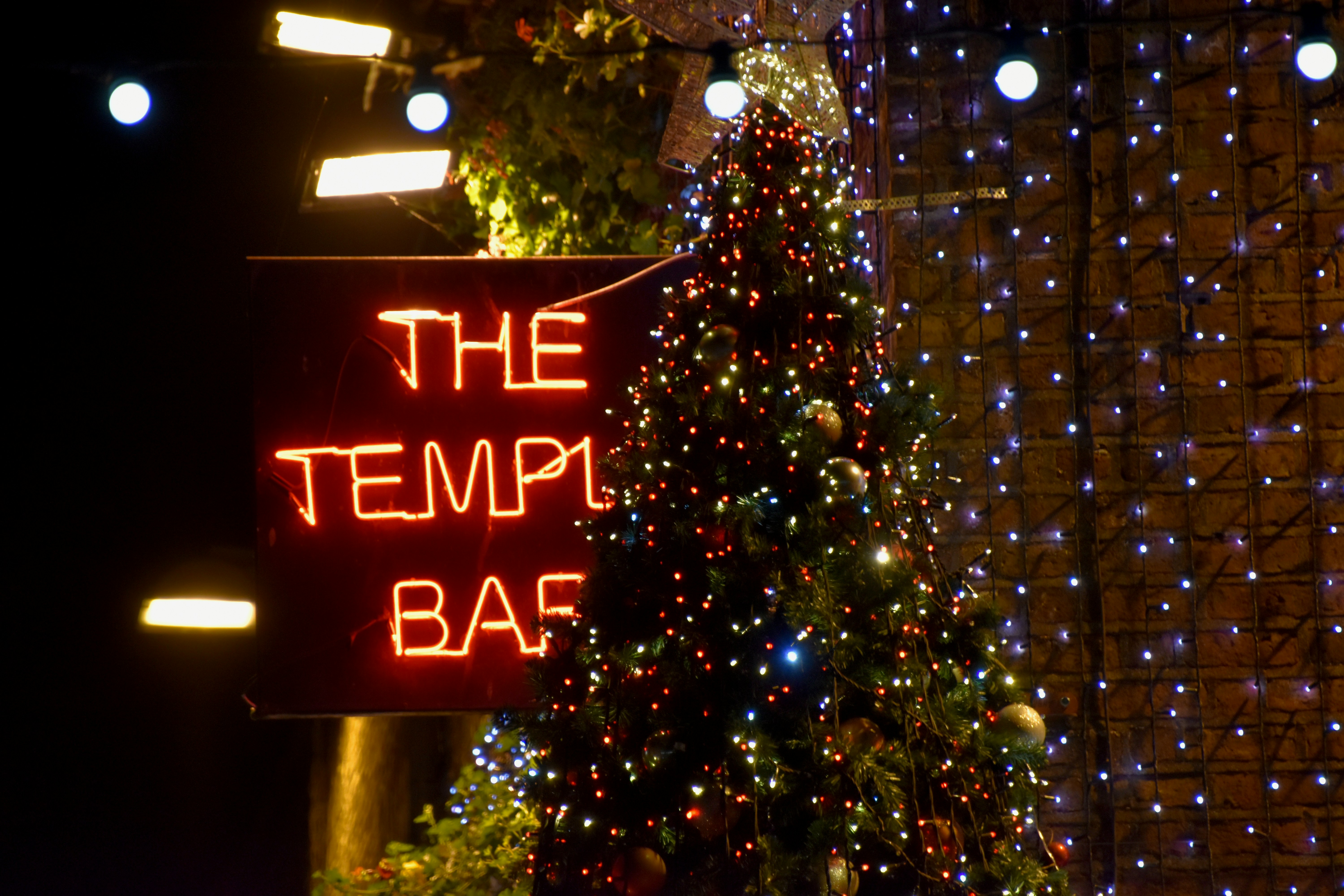 Neon Holiday: A Christmas Tree Framed by Glowing Signage