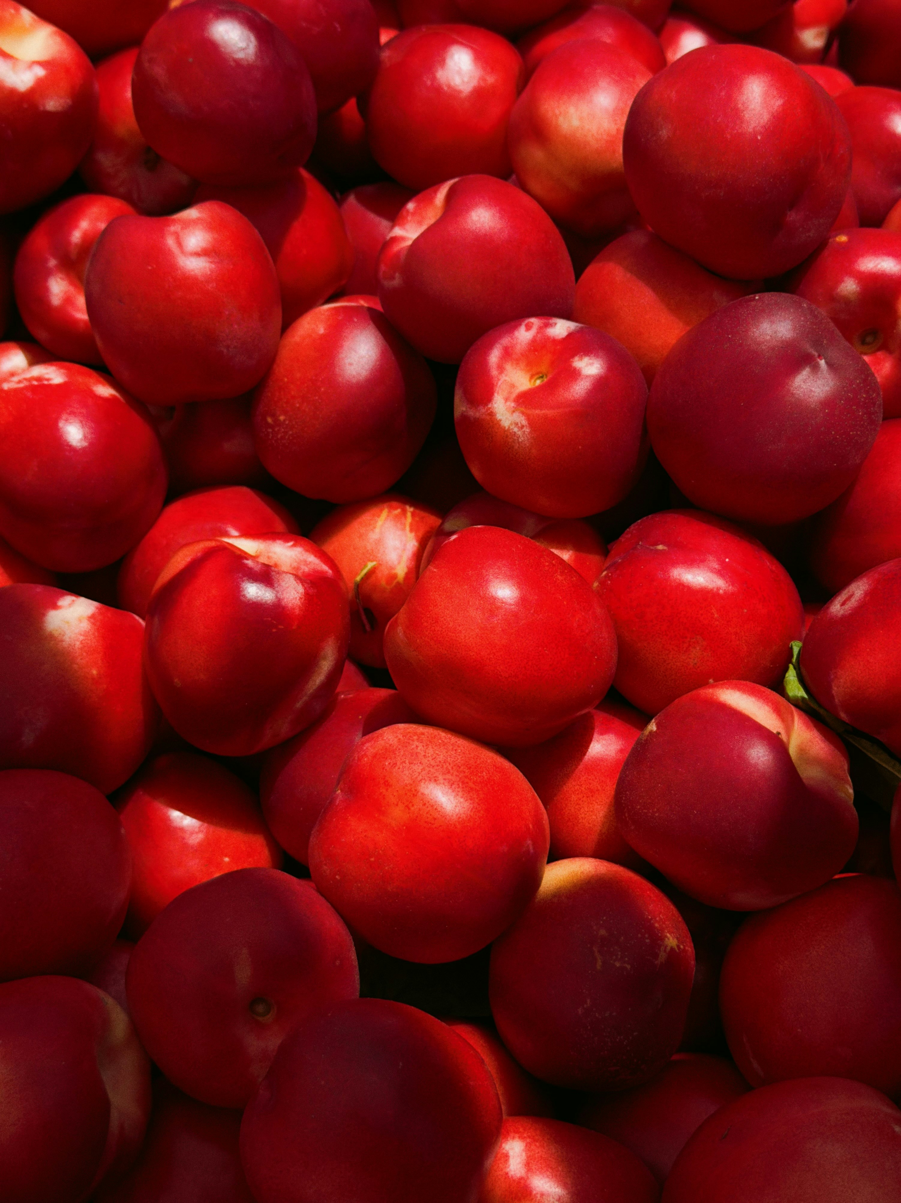 Ruby Cluster: A Sunlit Harvest of Plump Plums.