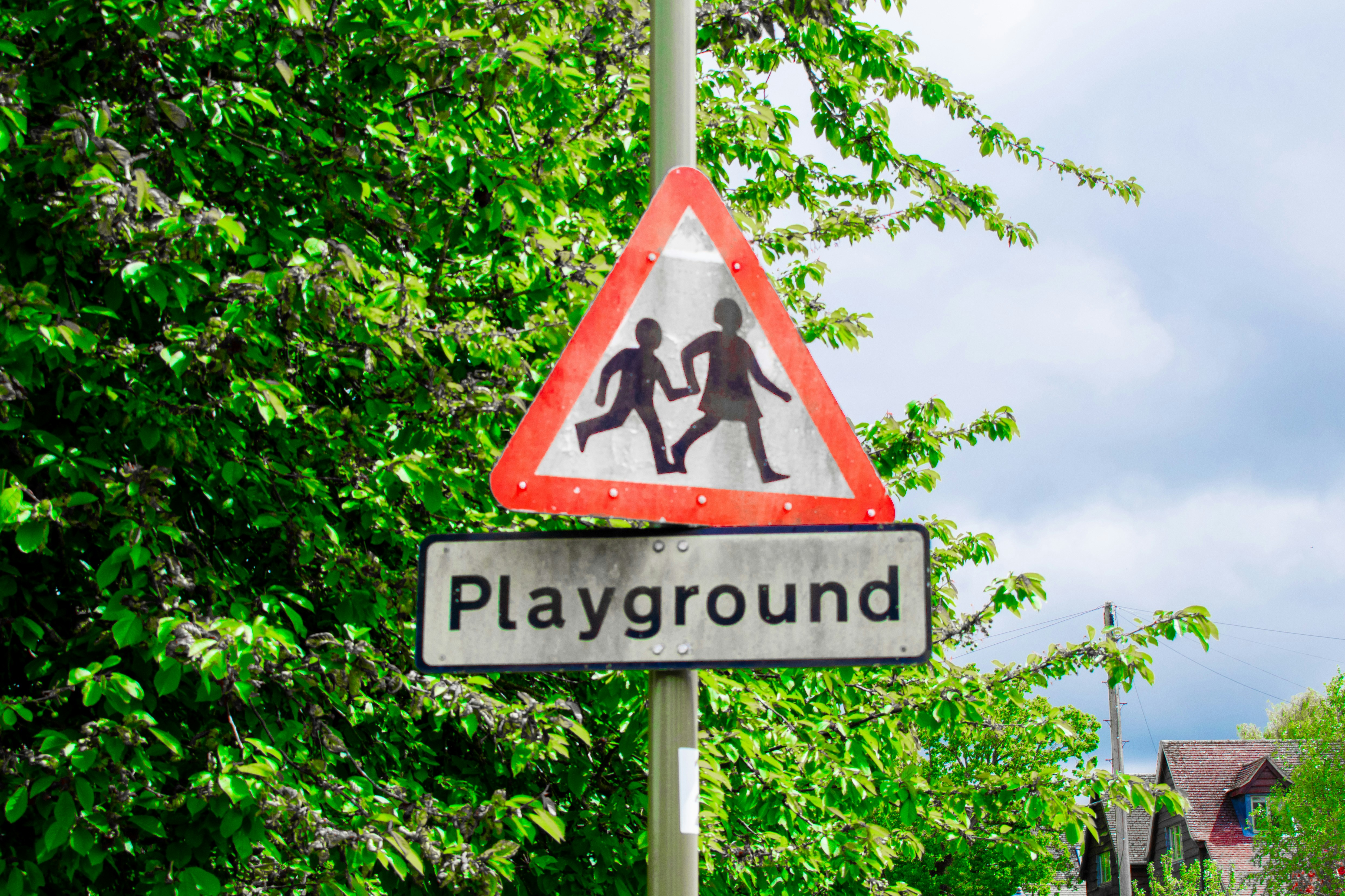 Playground Sign Amid Verdant Fronds