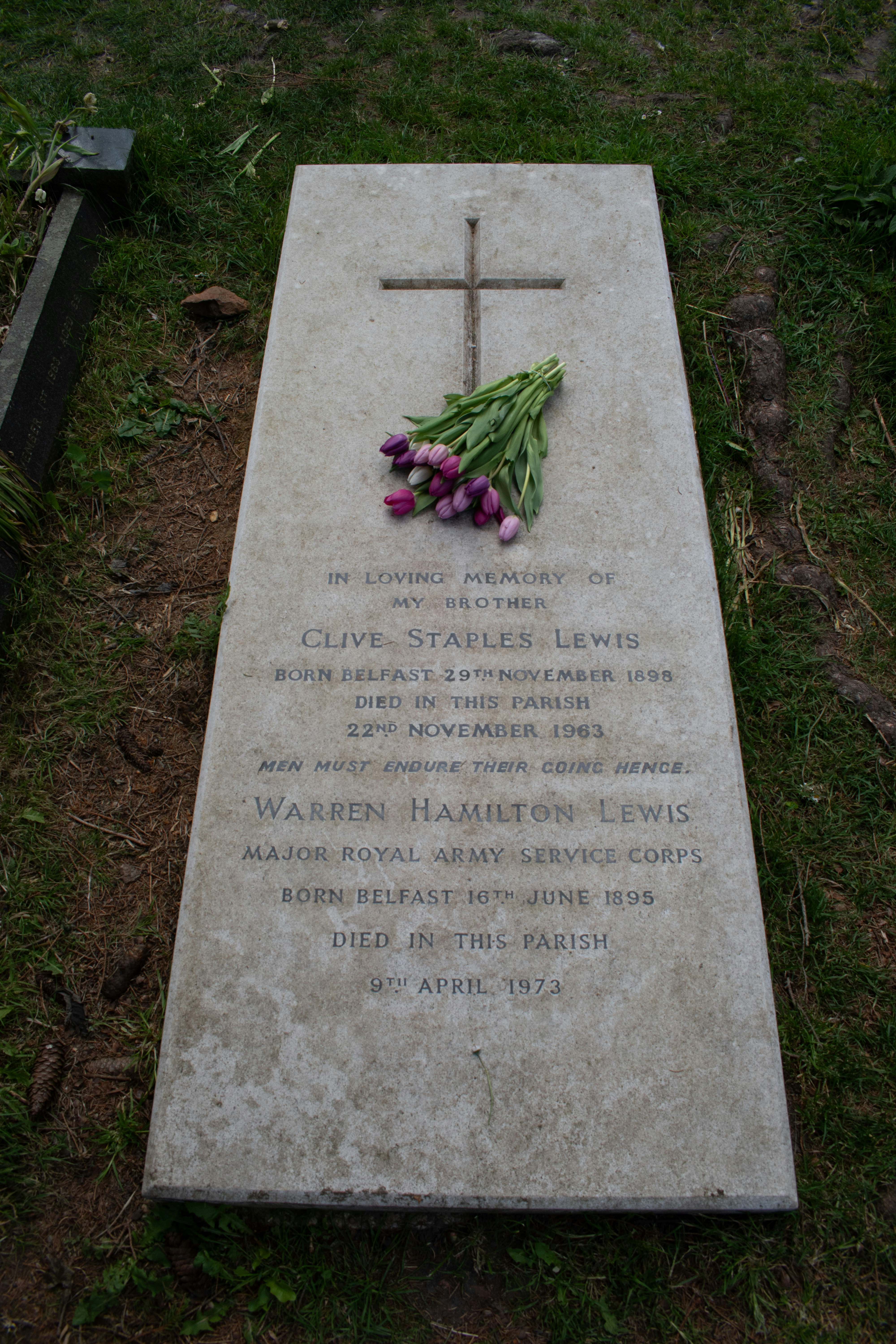 Tulips atop a grave: memory etched in stone