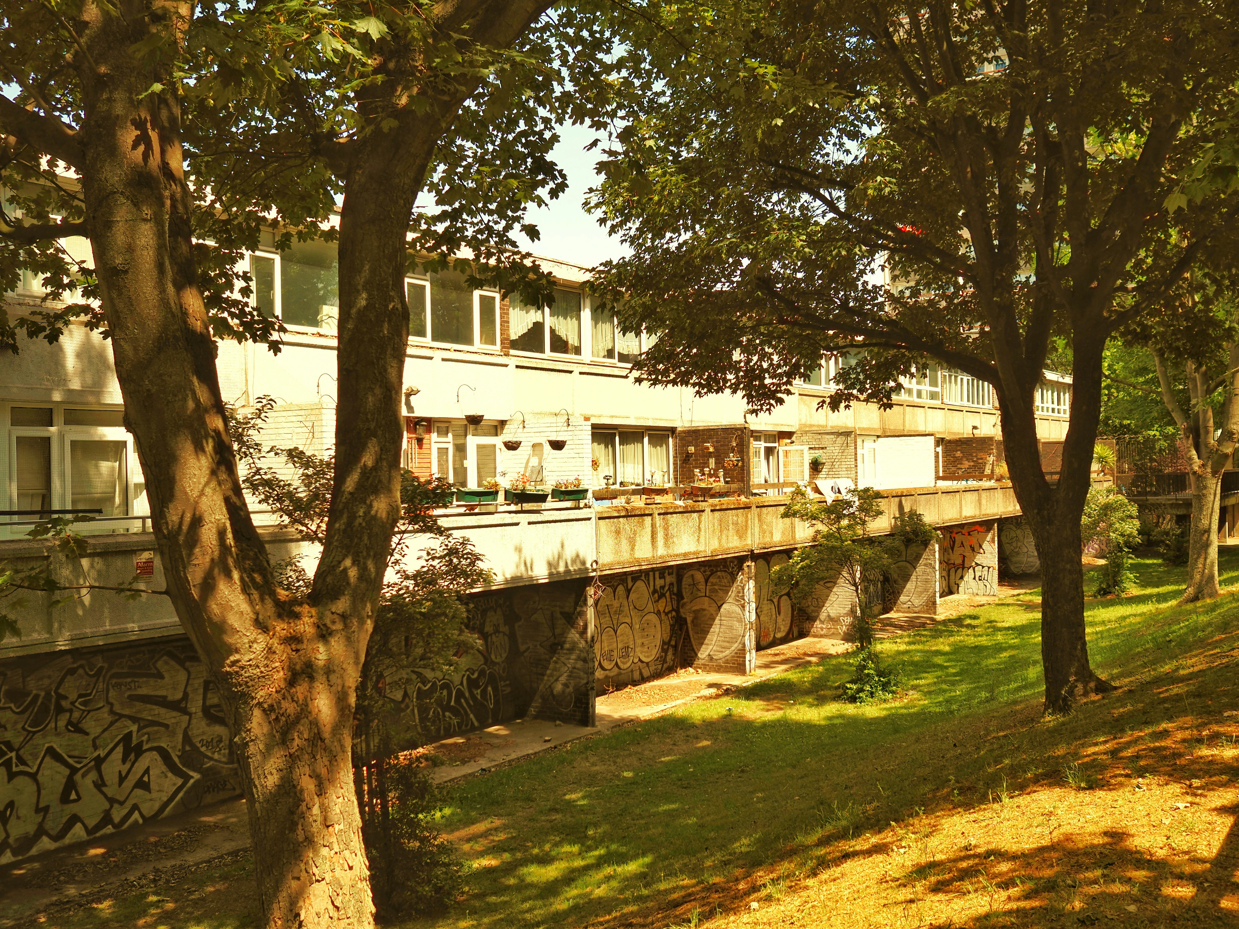 Sunlit Riverside Apartments: Graffiti, Shadows, and Dappled Light