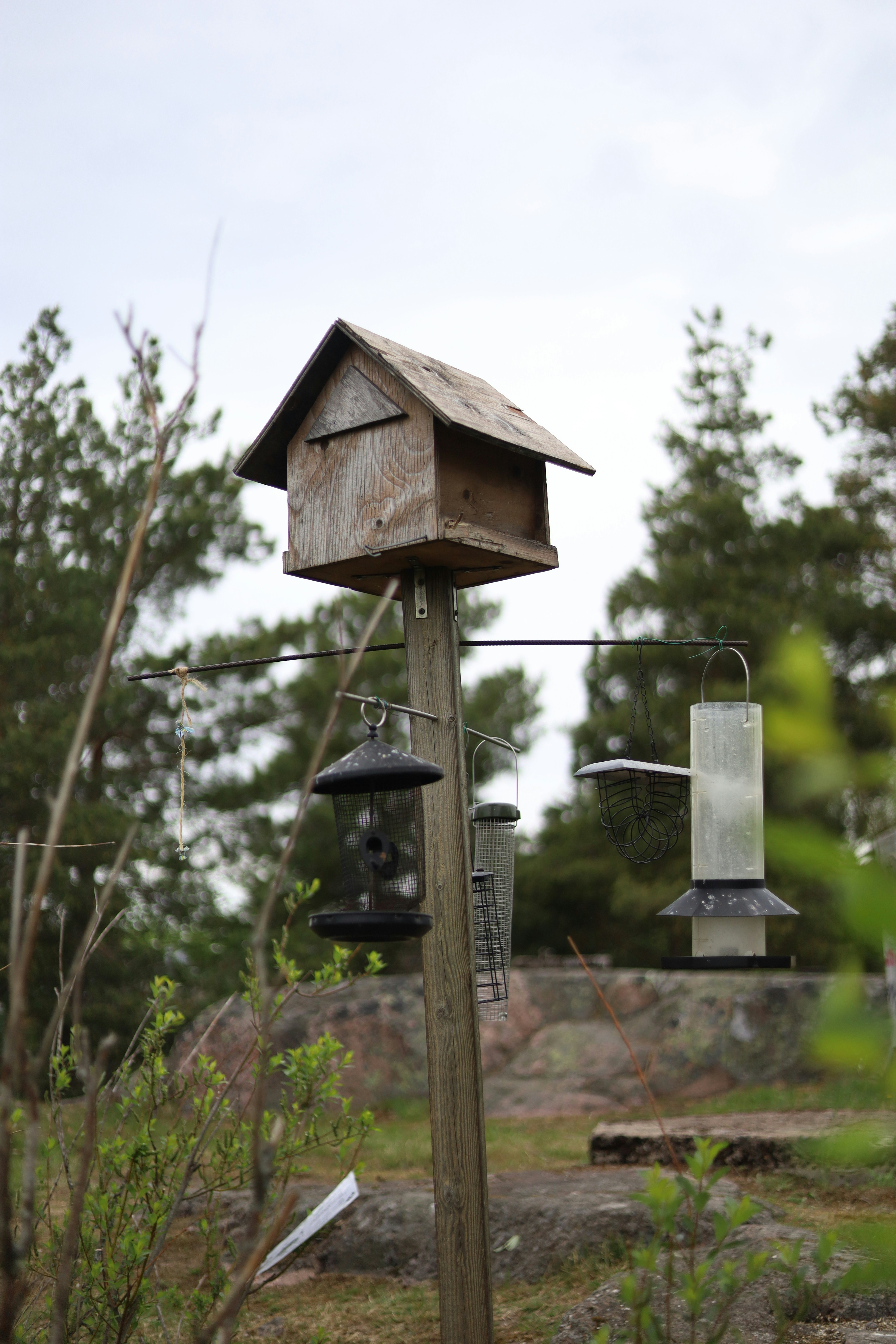Weathered Birdhouse Sentinel Over a Quiet Garden Way