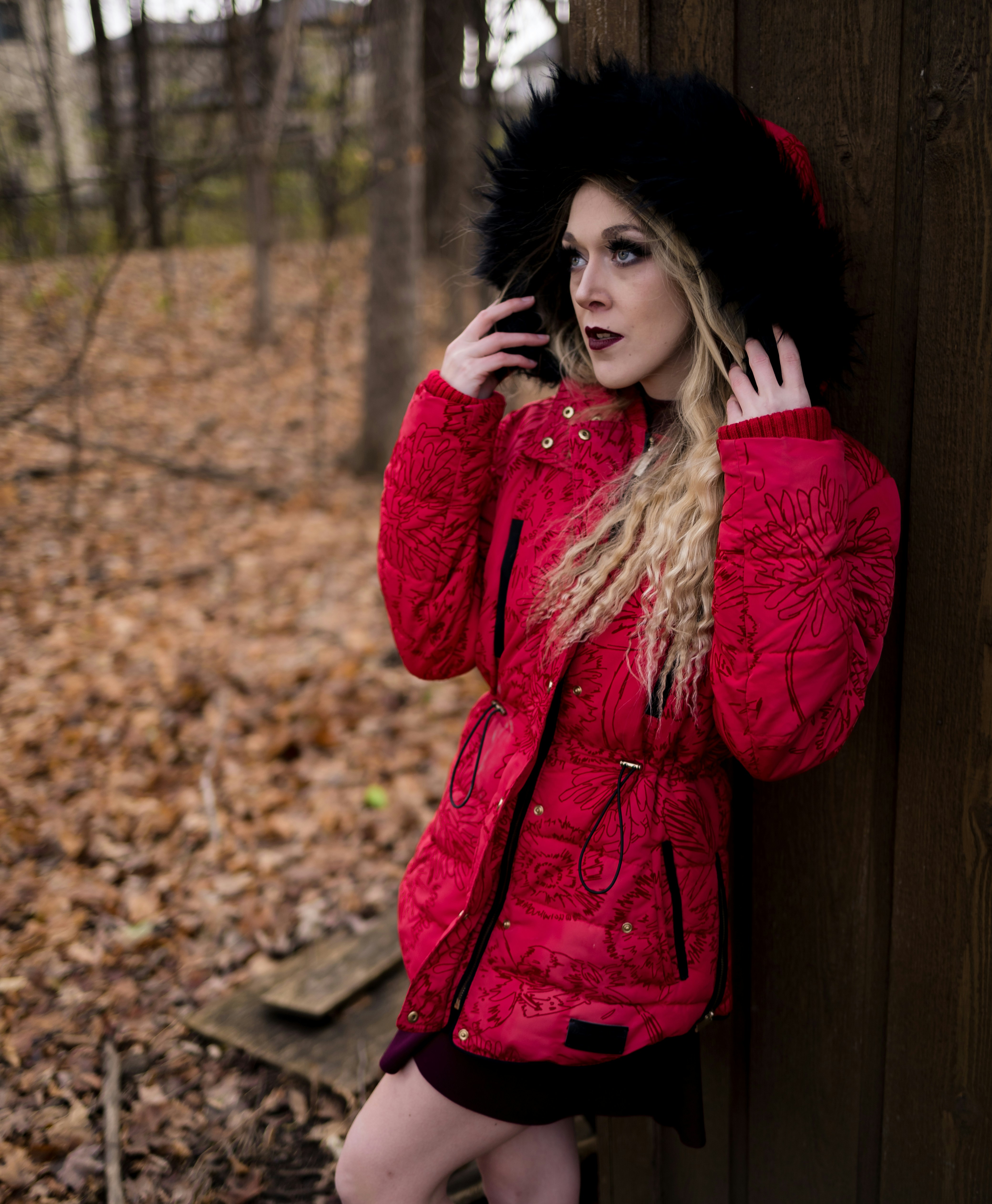 Crimson Hood in the Autumn Woods
