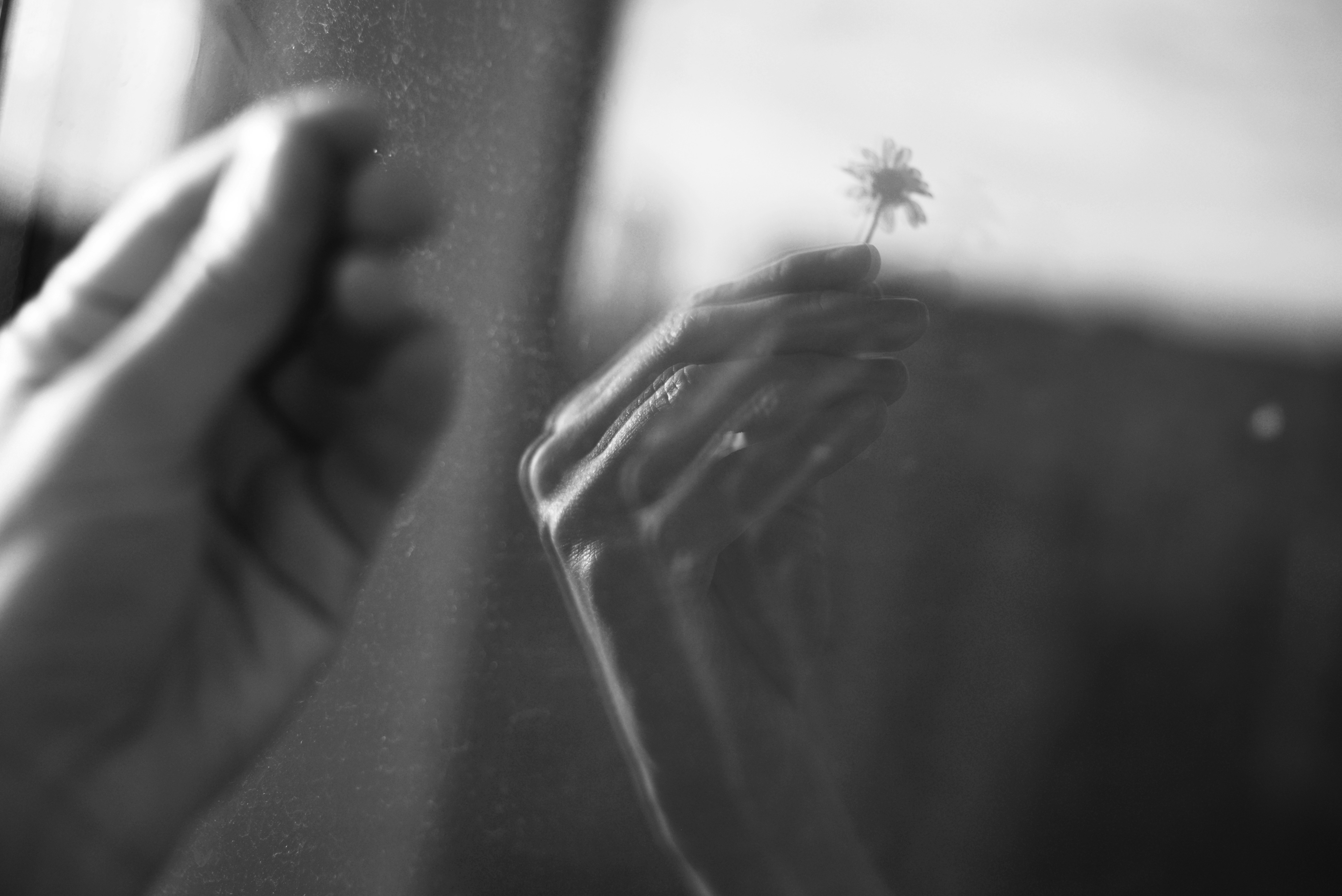 Tiny Palm on a Glassy Surface: A Moment of Reflection
